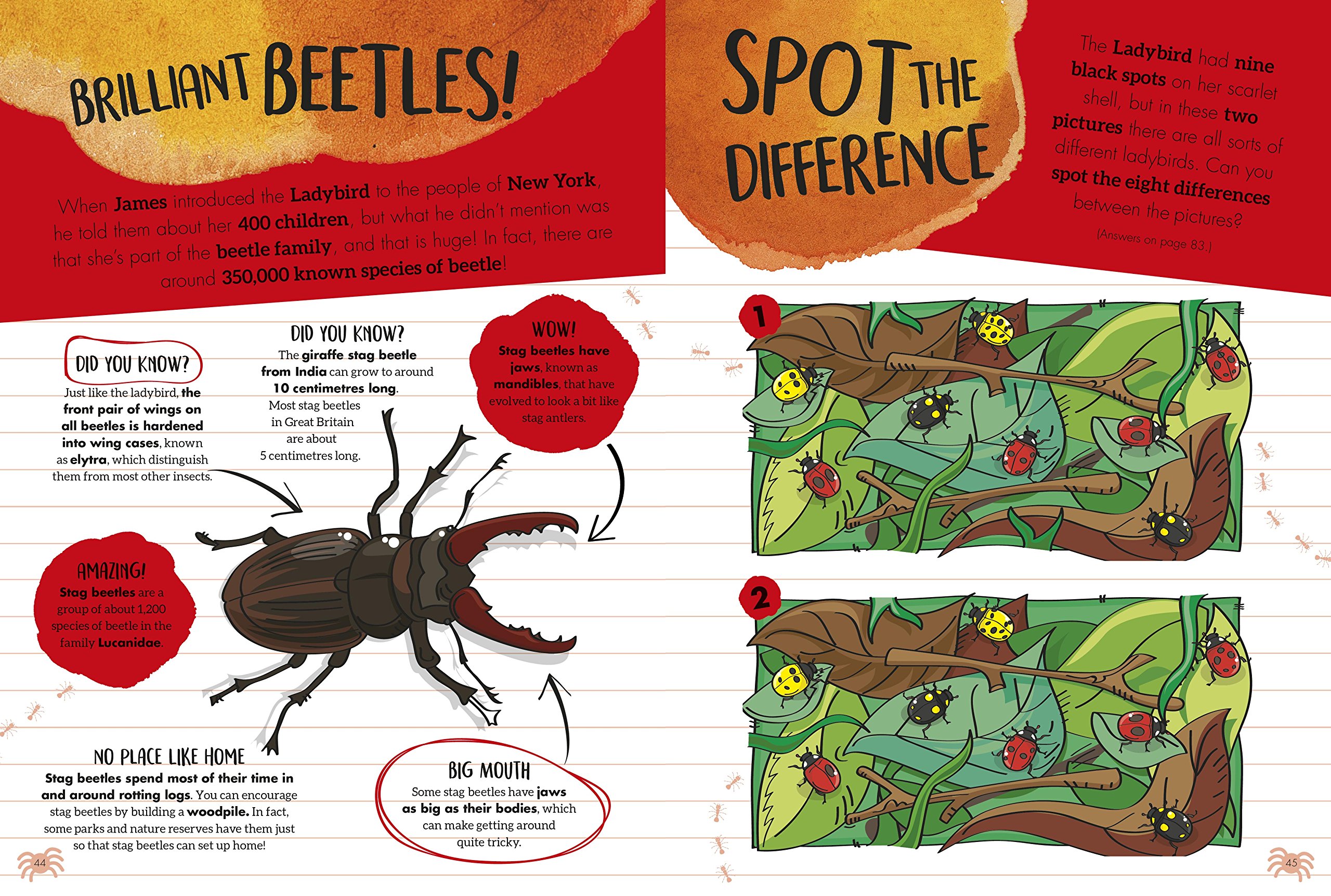 Roald Dahl's James's Giant Bug Book