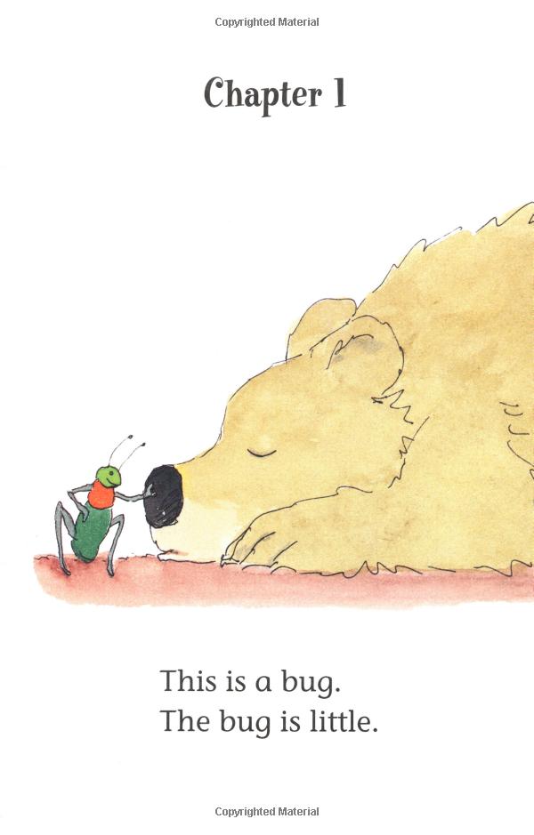 SCHOLASTIC READER LEVEL 1: A BUG, A BEAR, & A BOY - FAHASA.COM
