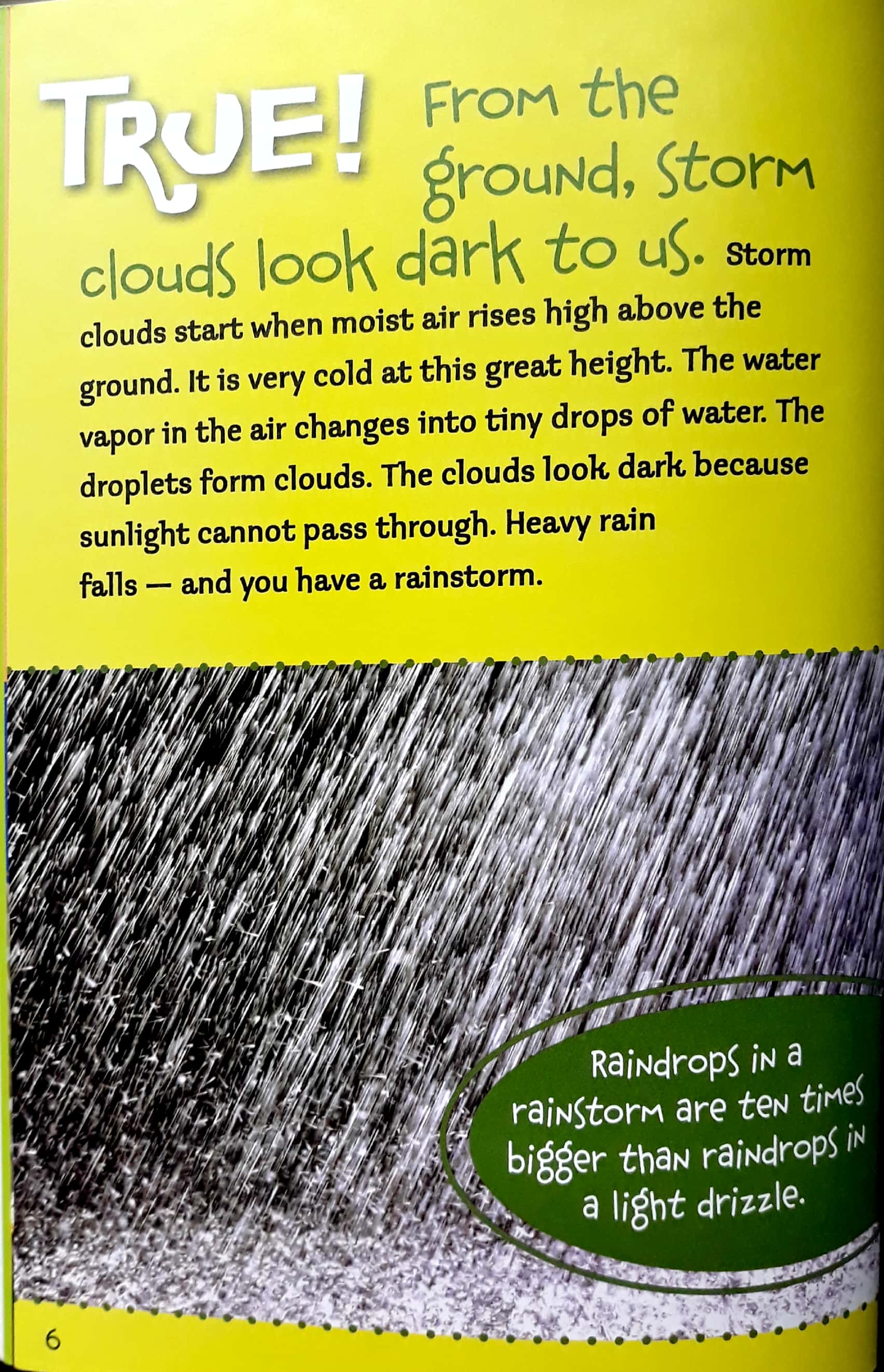 Scholastic True or False: Storms