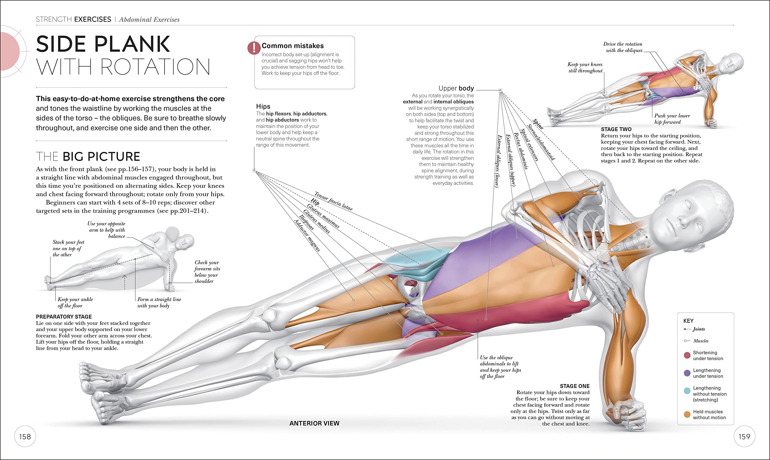 Science Of Strength Training: Understand The Anatomy And Physiology To ...