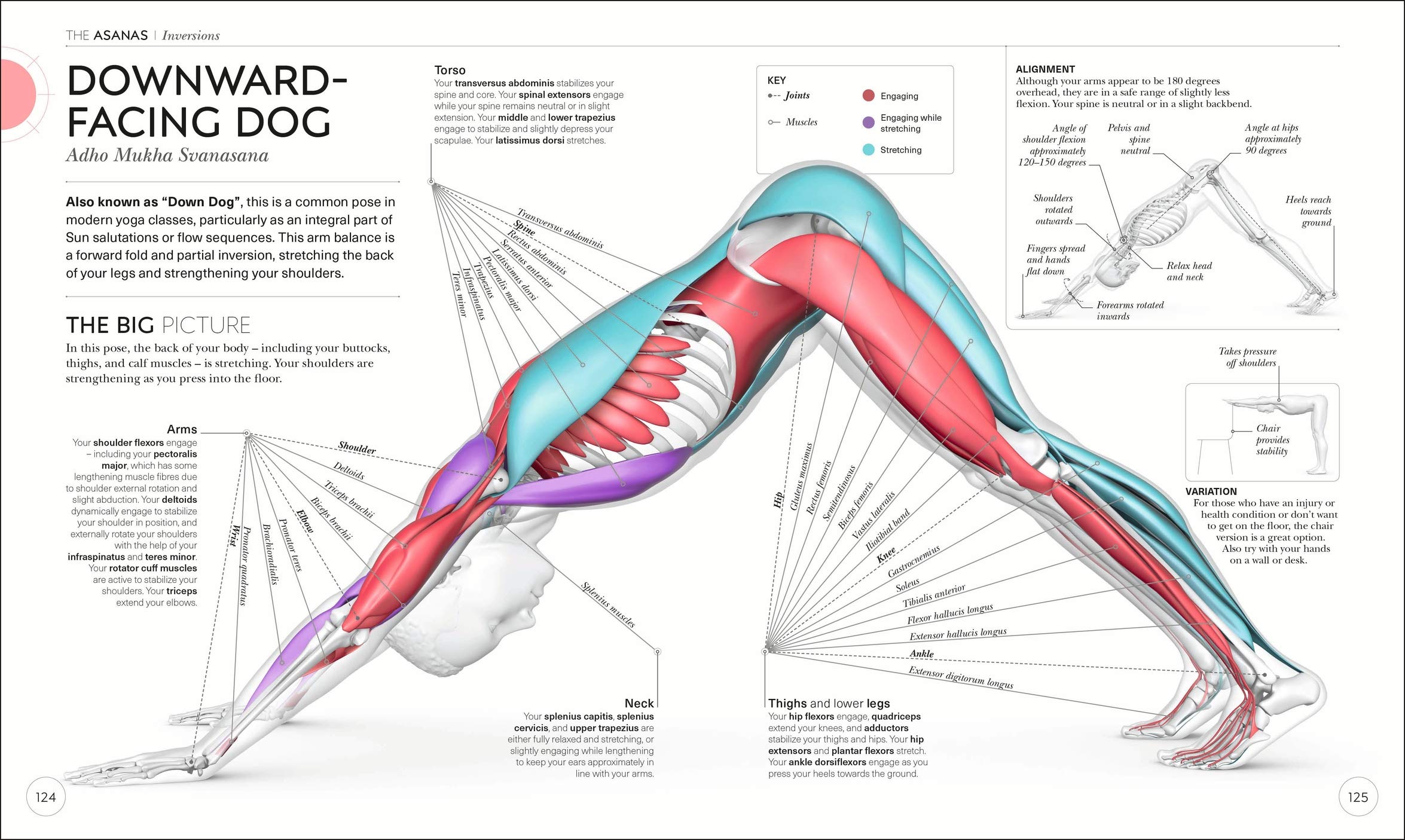 Science Of Yoga: Understand The Anatomy And Physiology To Perfect Your ...