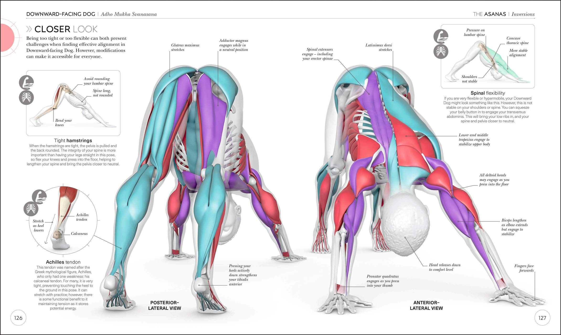Science Of Yoga: Understand The Anatomy And Physiology To Perfect Your ...