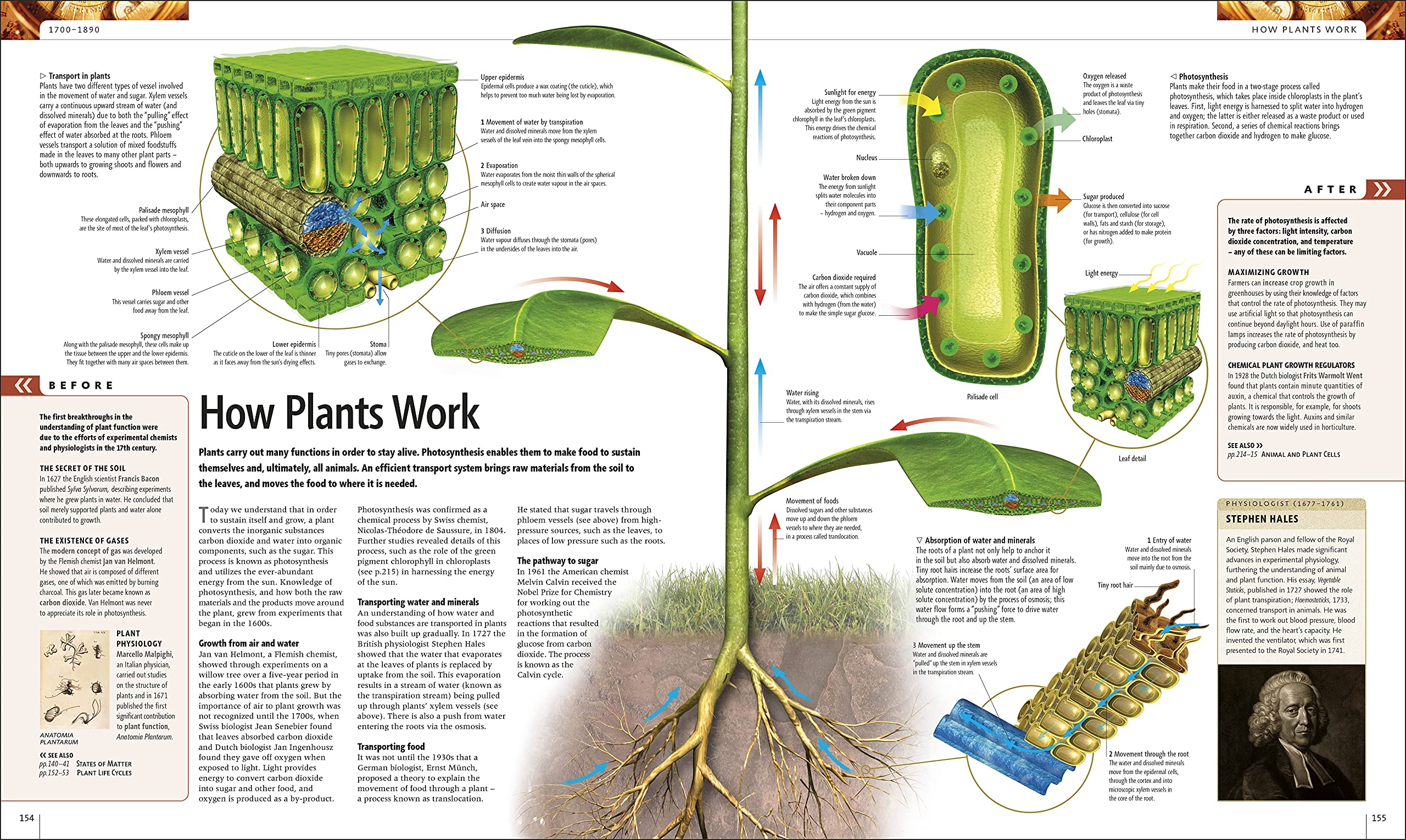 Science: The Definitive Visual Guide