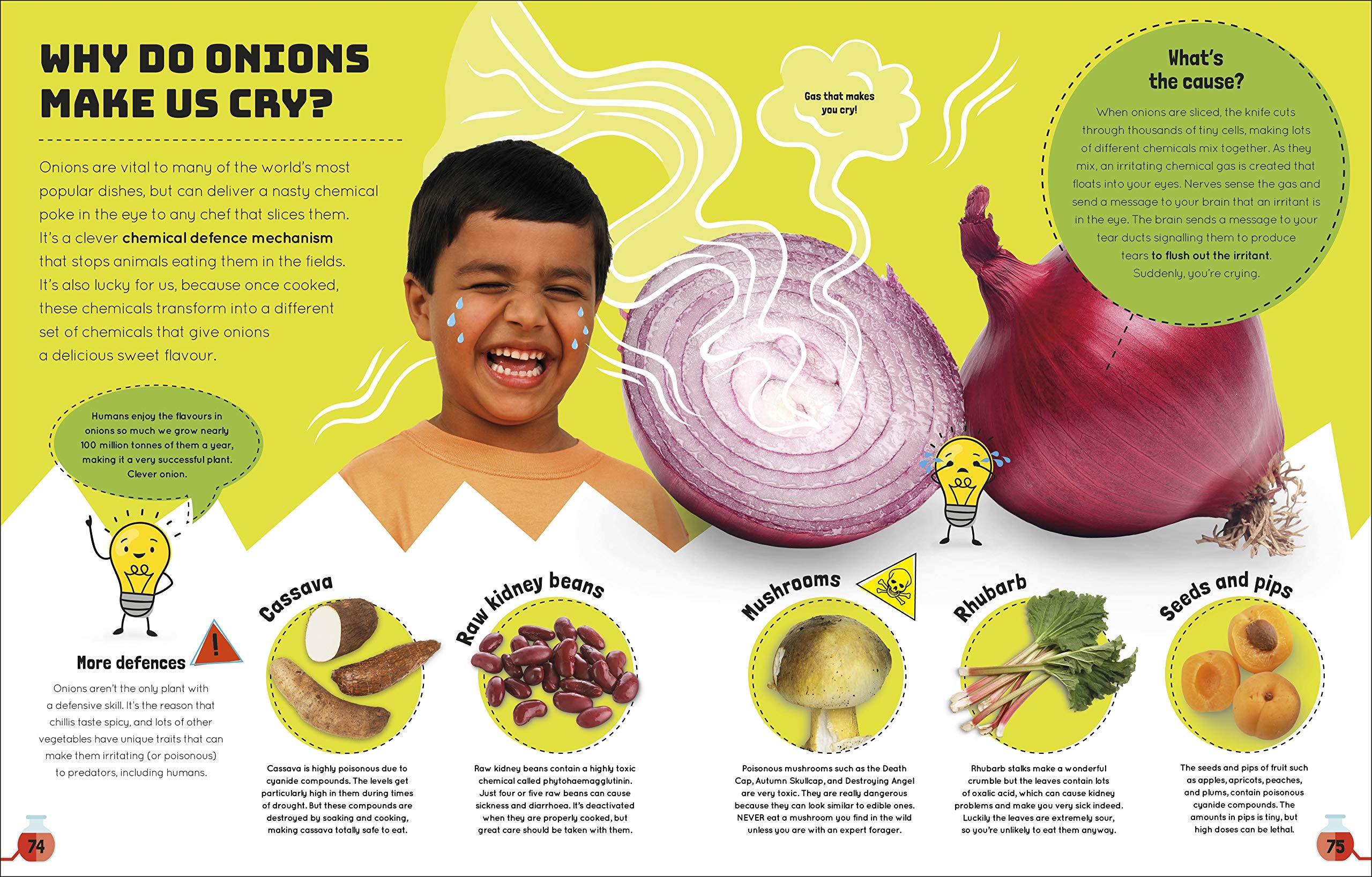 Science You Can Eat: Putting What We Eat Under The Microscope