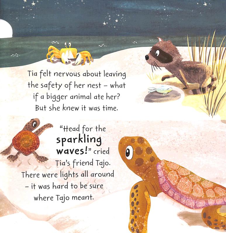 Sea Stories: Tia The Turtle - FAHASA.COM