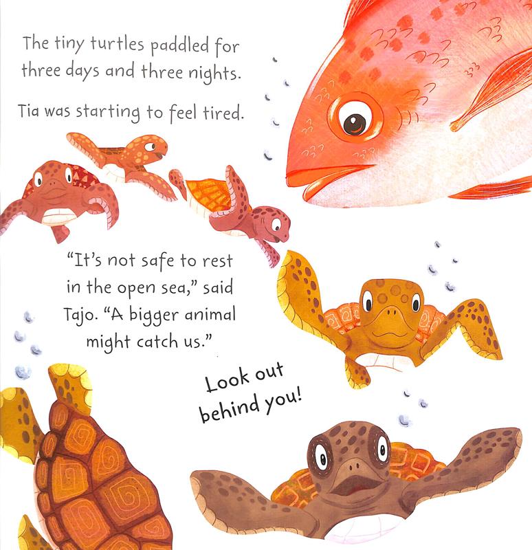 Sea Stories: Tia The Turtle - FAHASA.COM