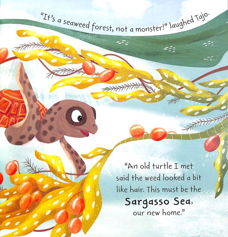 Sea Stories: Tia The Turtle - FAHASA.COM