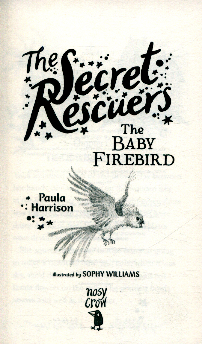 SECRET RESCUERS: BABY FIREBIRD