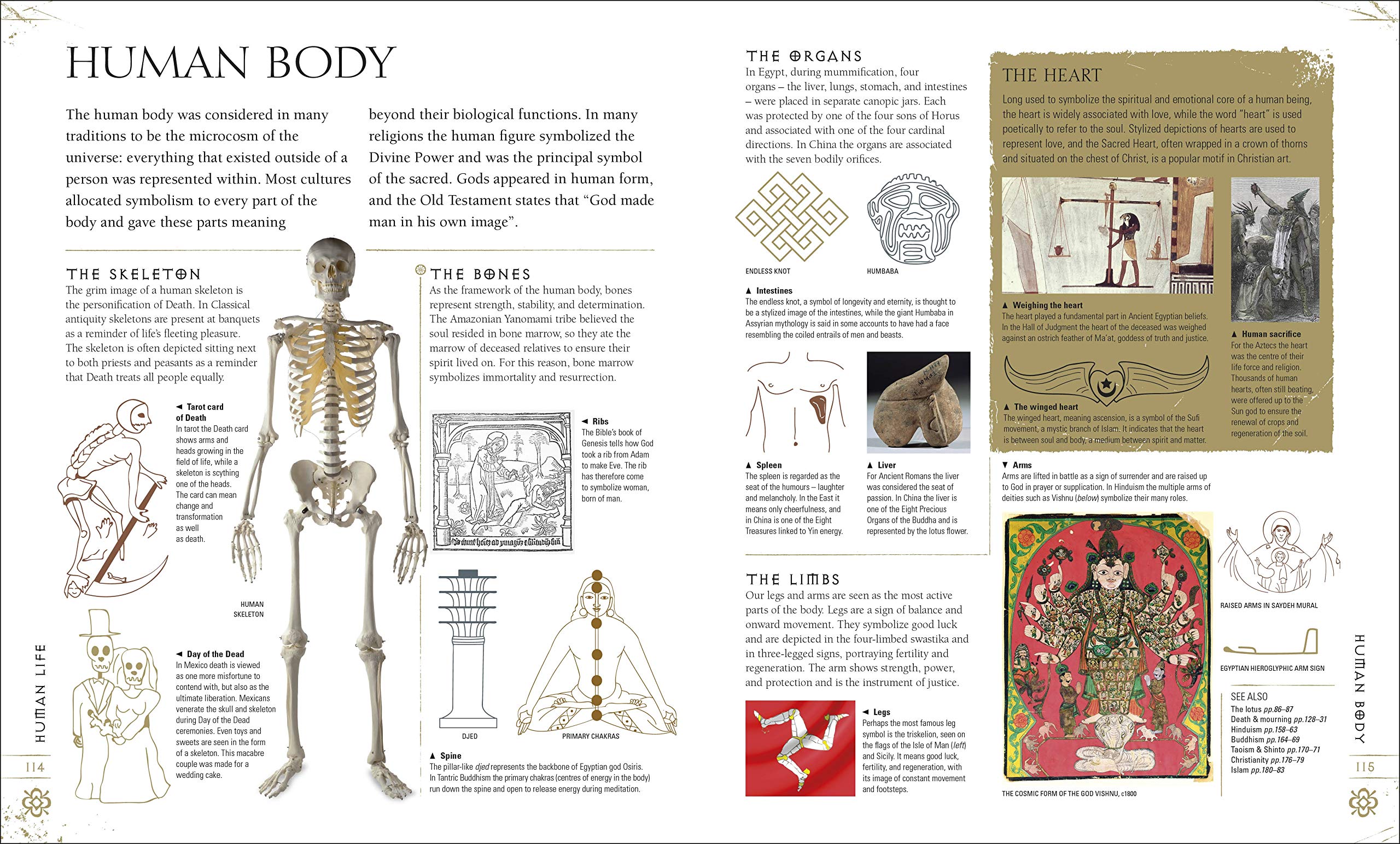 Signs Symbols An Illustrated Guide To Their Origins And Meanings signs-symbols-an-illustrated-guide-to-their-origins-and-meanings
