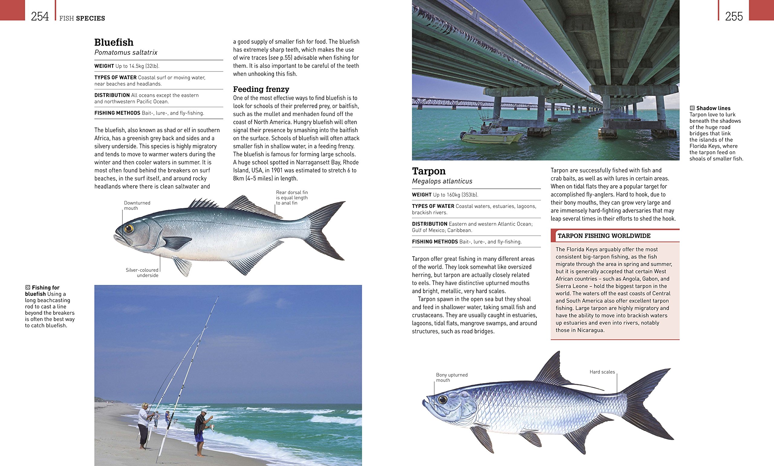 The Complete Fishing Manual - FAHASA.COM