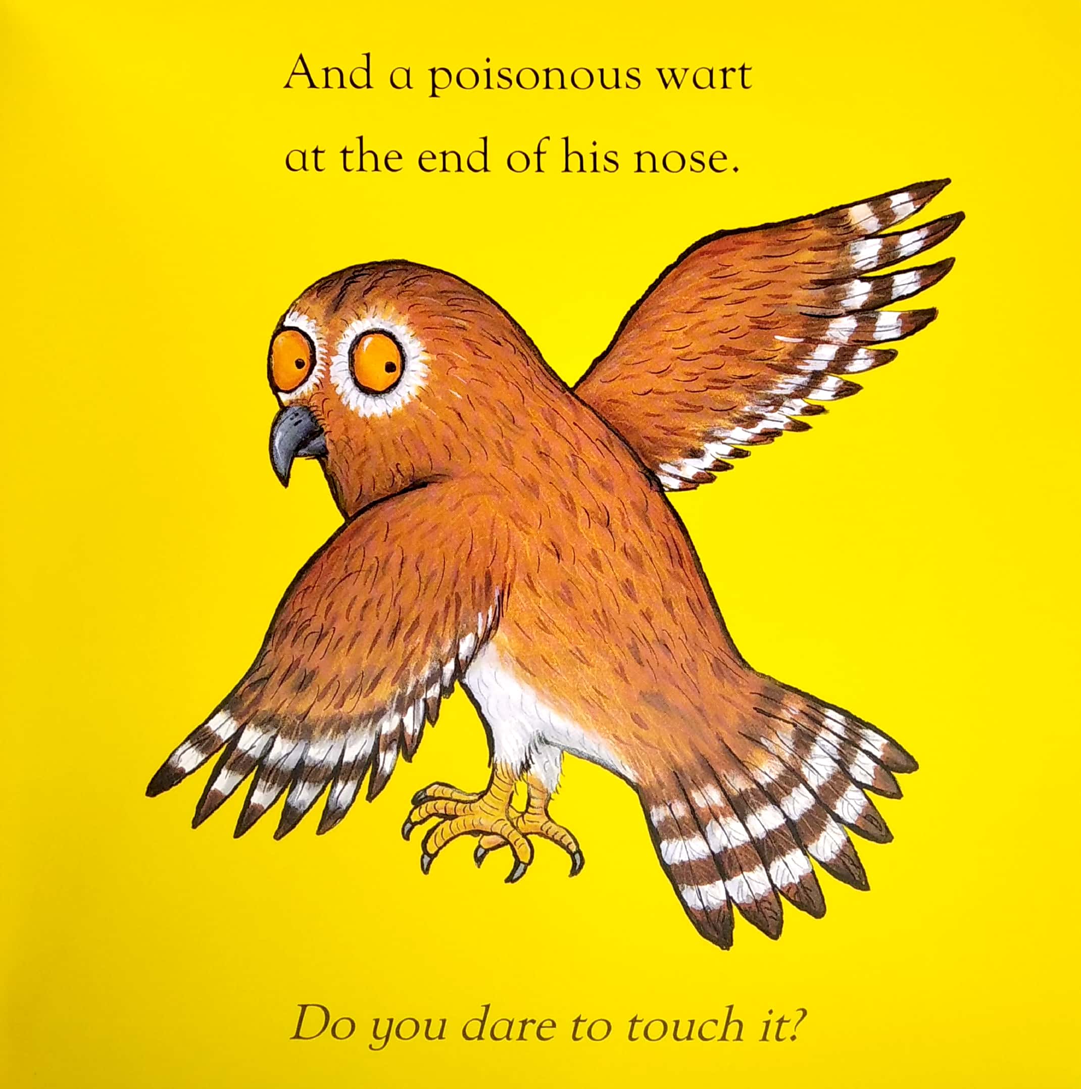 The Gruffalo Touch And Feel Book (My First Gruffalo)