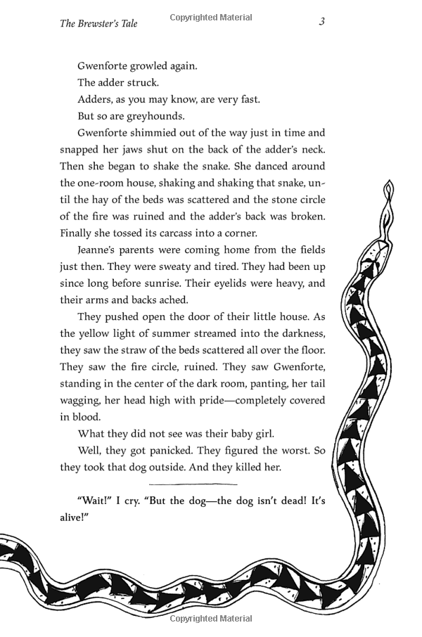 The Inquisitor's Tale