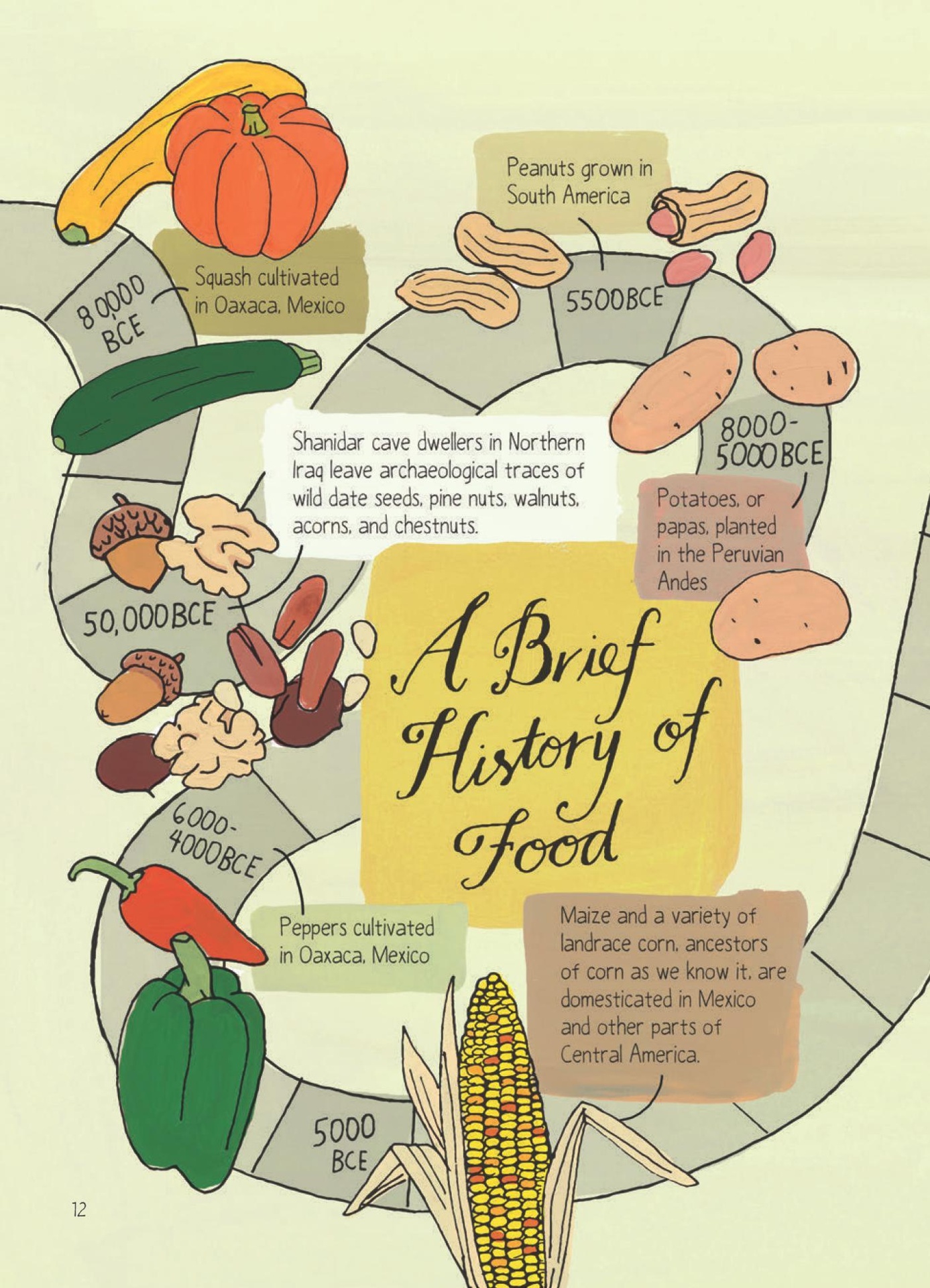 The Julia Rothman Collection: Farm Anatomy, Nature Anatomy, And Food ...