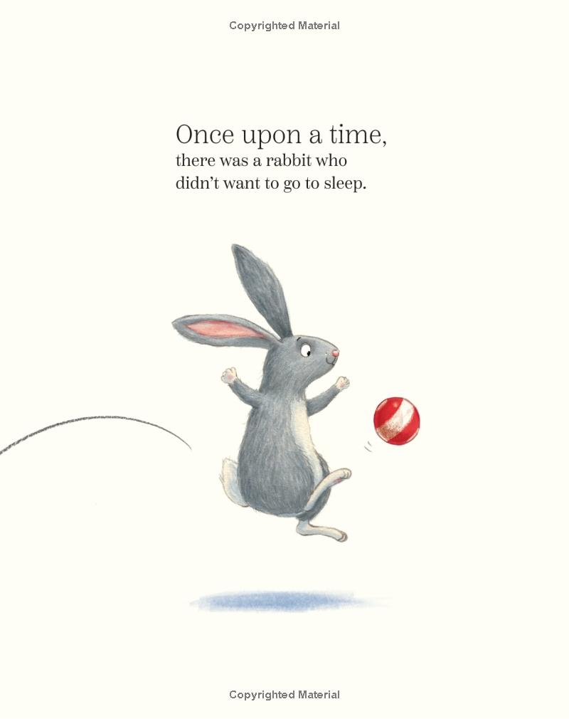 The Rabbit, The Dark And The Biscuit Tin