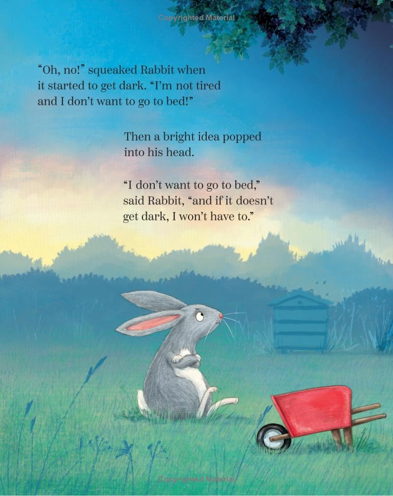 The Rabbit, The Dark And The Biscuit Tin