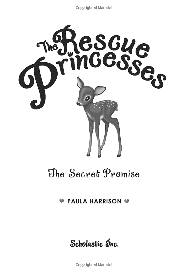 The Rescue Princesses #1: Secret Promise - FAHASA.COM