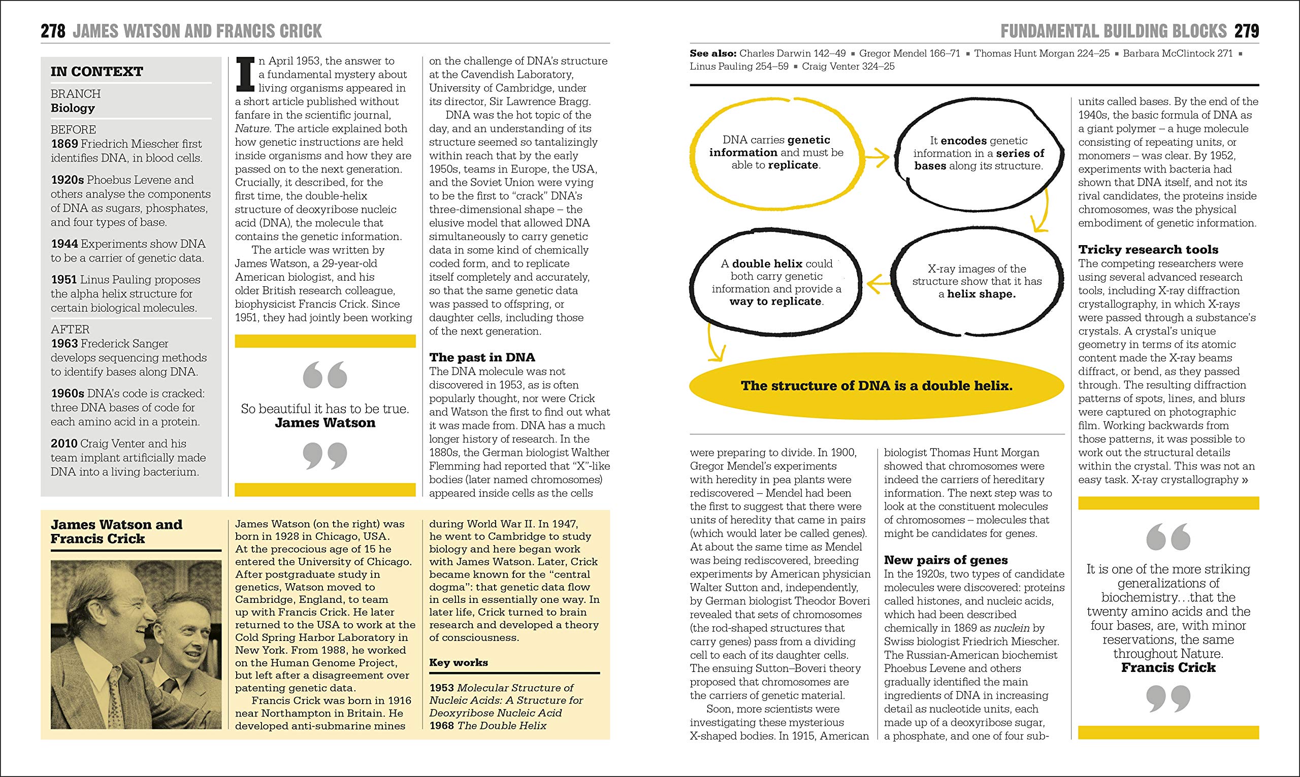 The Science Book: Big Ideas Simply Explained - FAHASA.COM