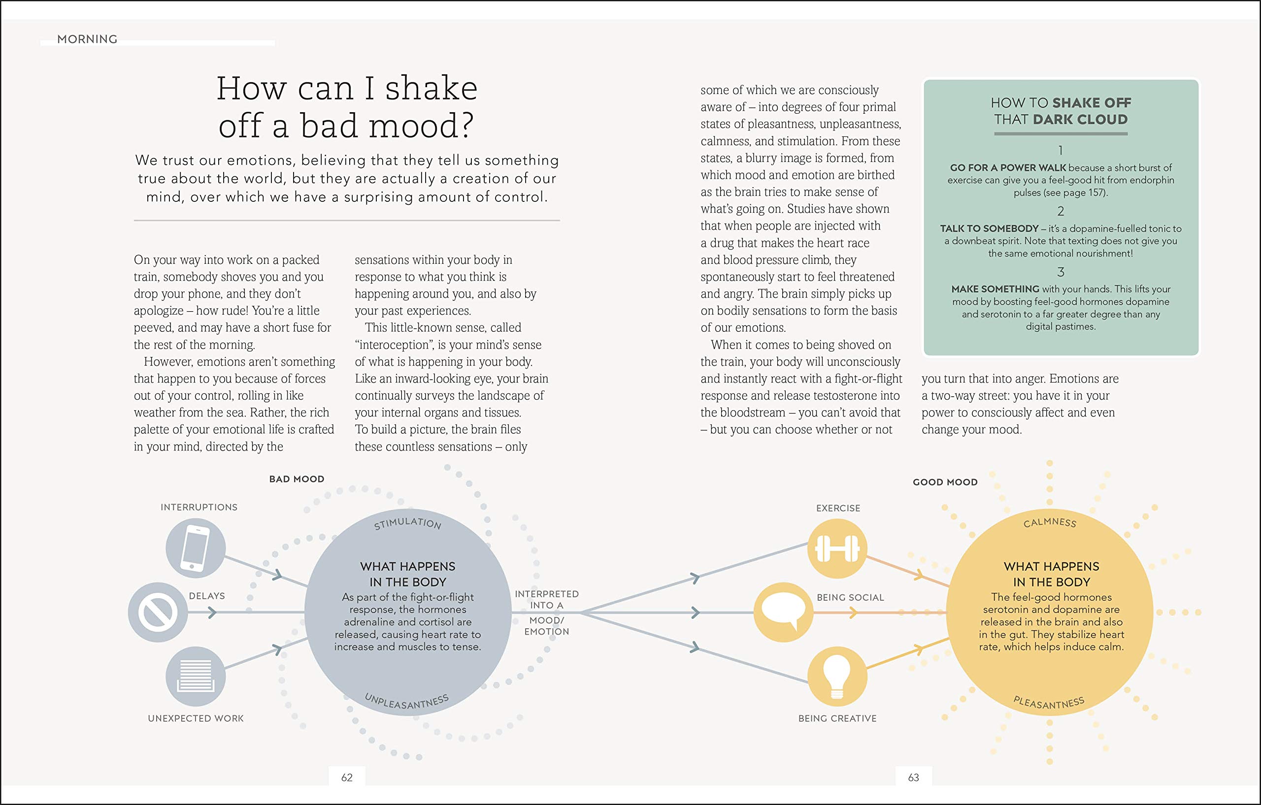 The Science Of Living : 219 Reasons To Rethink Your Daily Routine ...