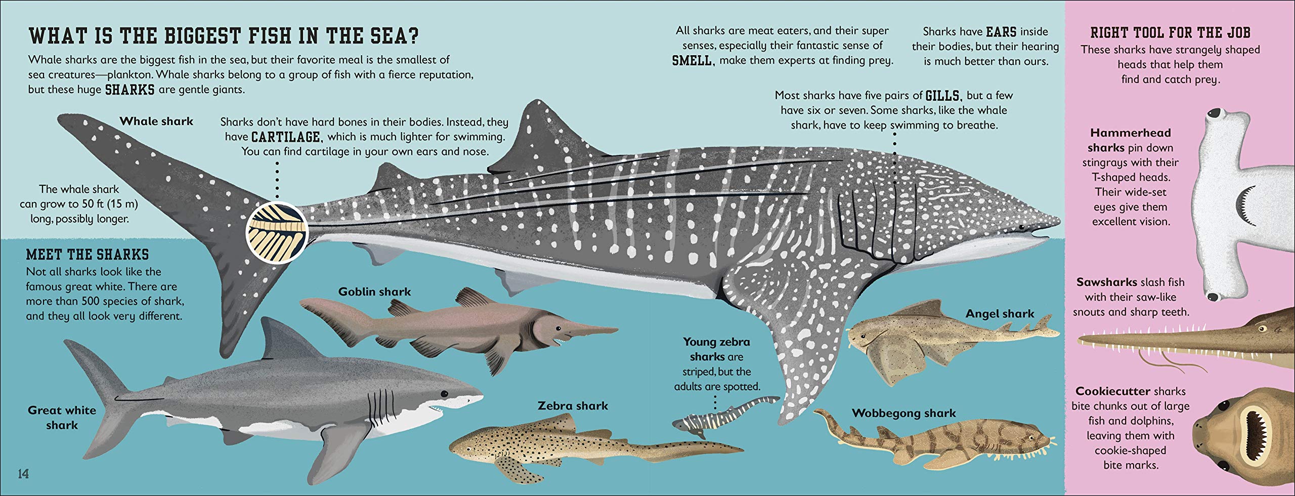 The Sea Book - FAHASA.COM