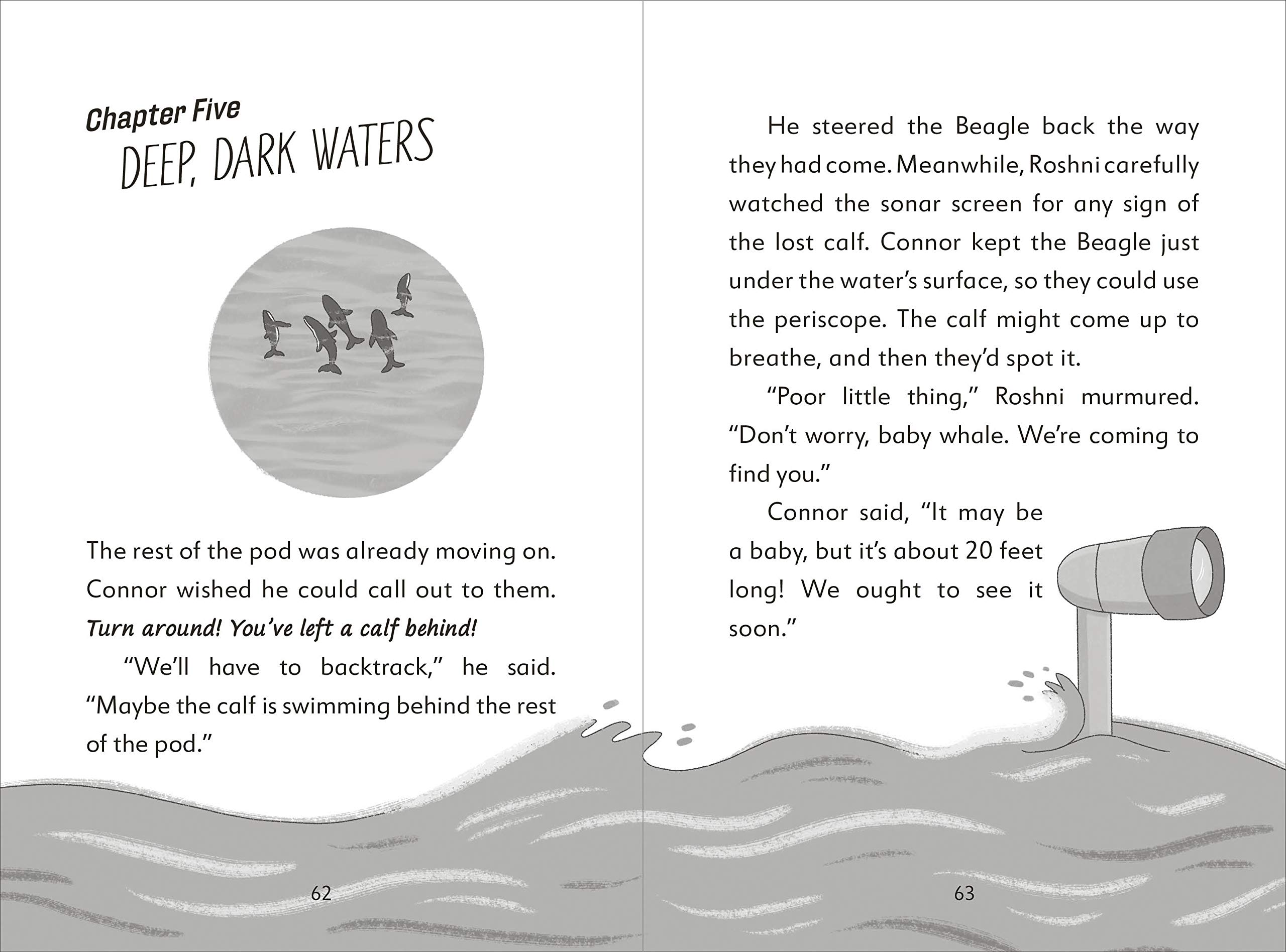 The Secret Explorers And The Lost Whales - FAHASA.COM