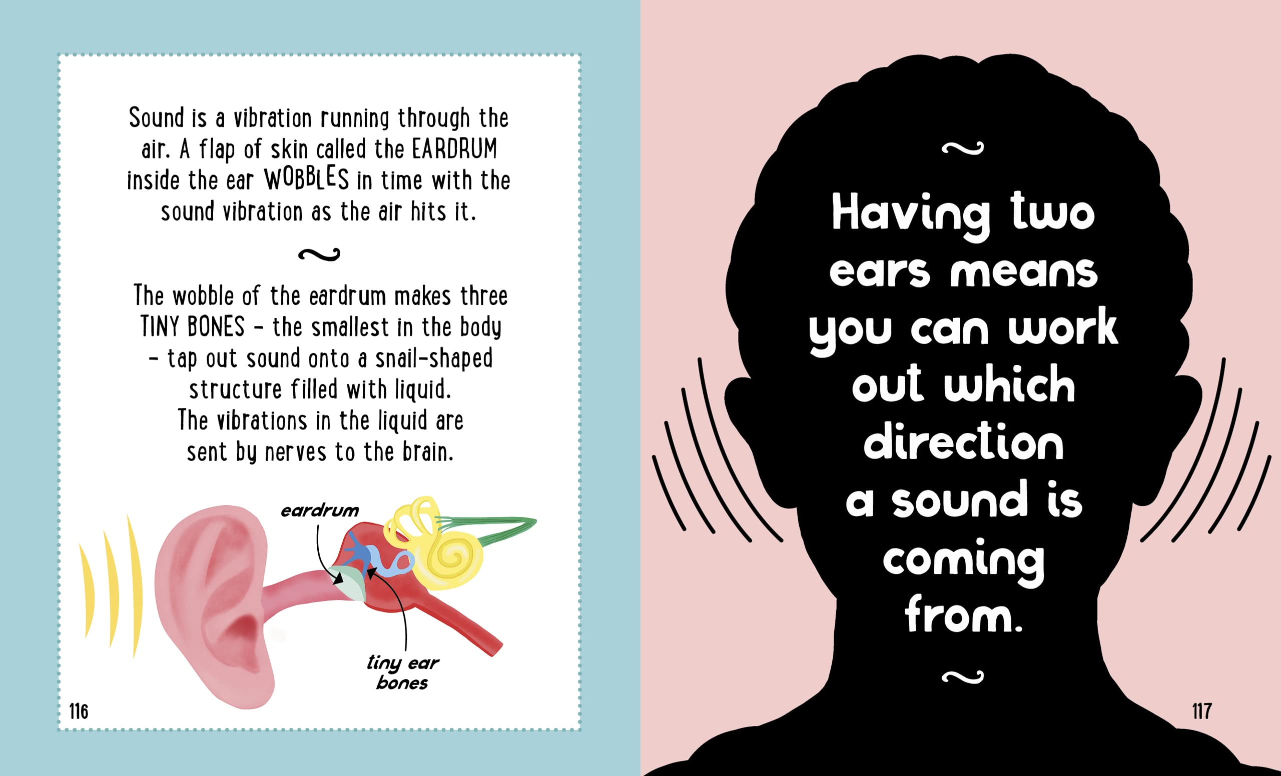 The Small And Mighty Book Of The Human Body: Pocket-sized Books ...