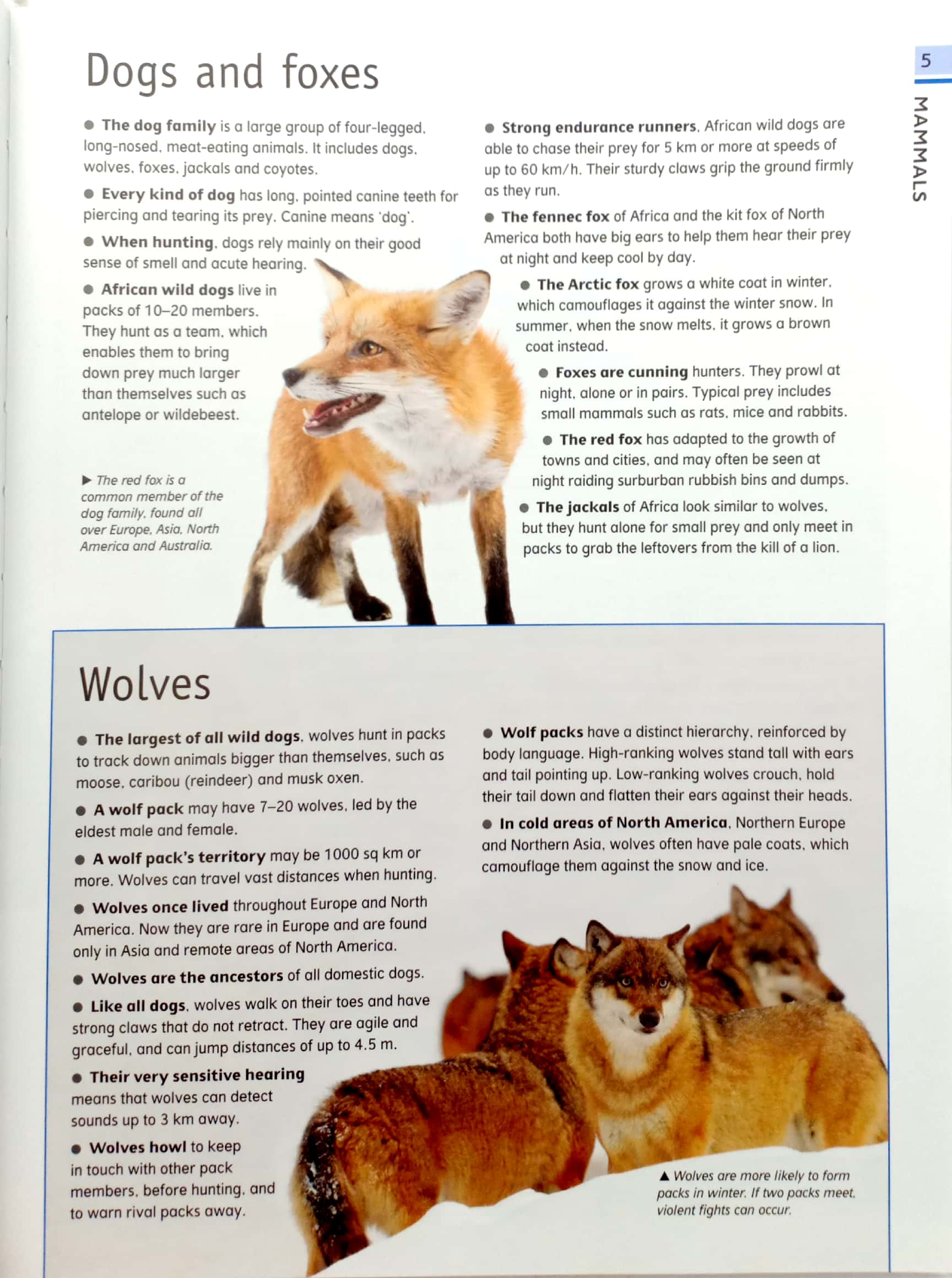 THE ULTIMATE GUIDE - ANIMAL - FAHASA.COM