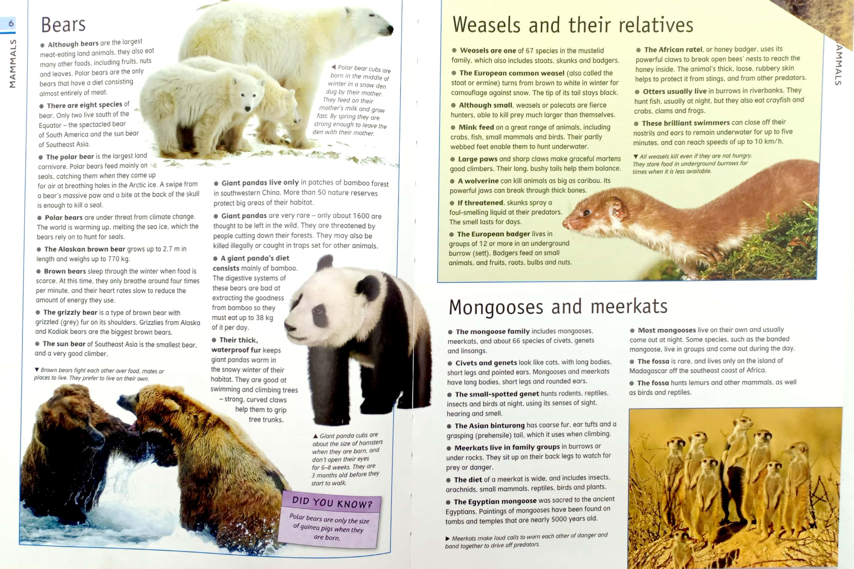 THE ULTIMATE GUIDE - ANIMAL - FAHASA.COM