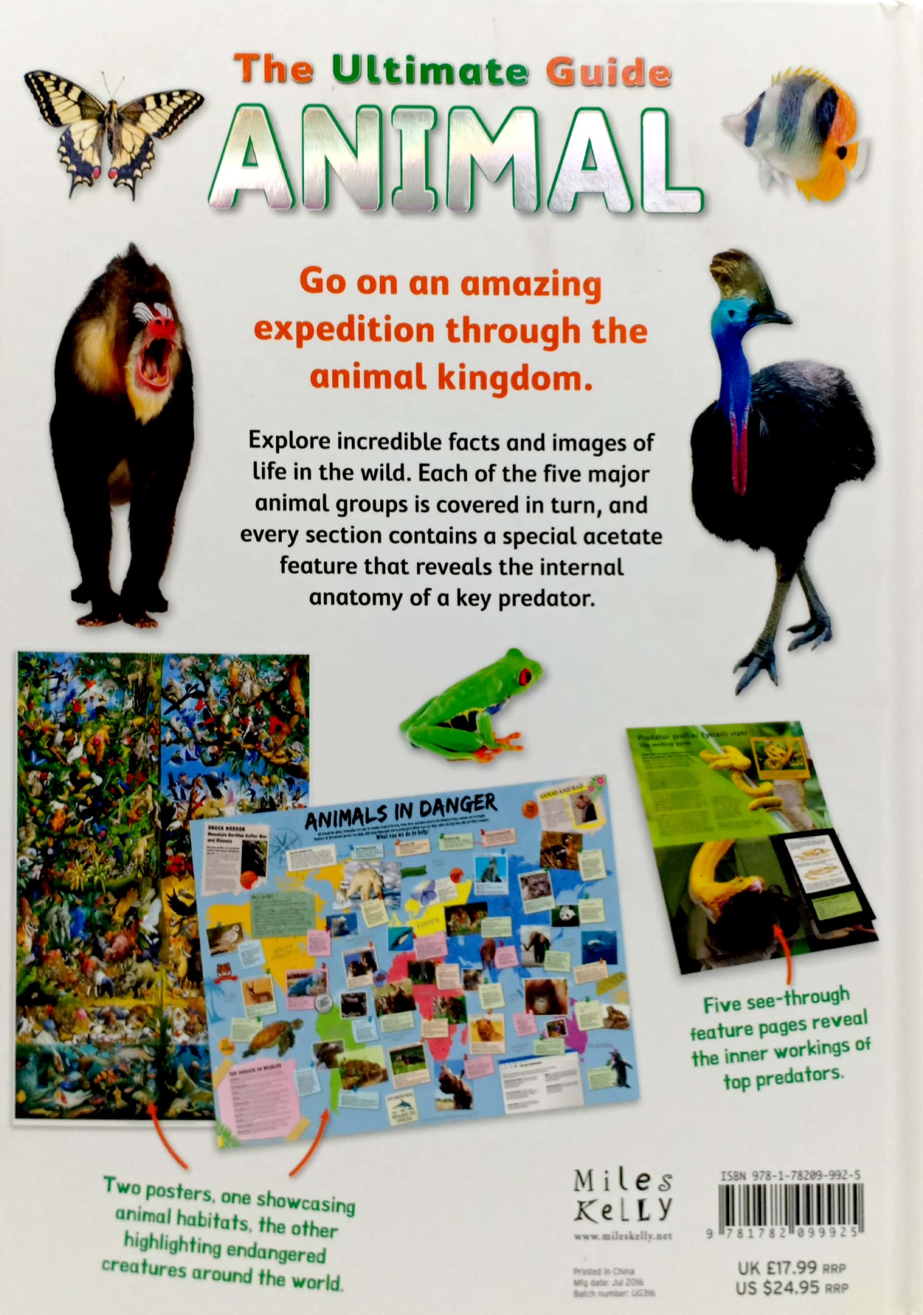 THE ULTIMATE GUIDE - ANIMAL - FAHASA.COM