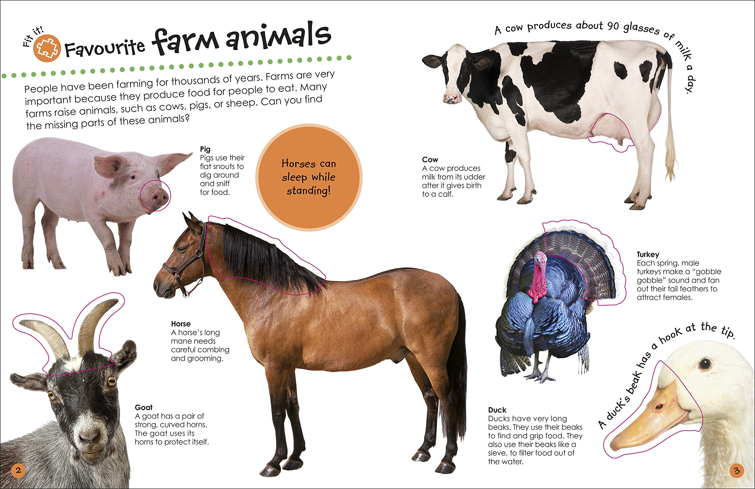 The Ultimate Sticker Book Farm - FAHASA.COM