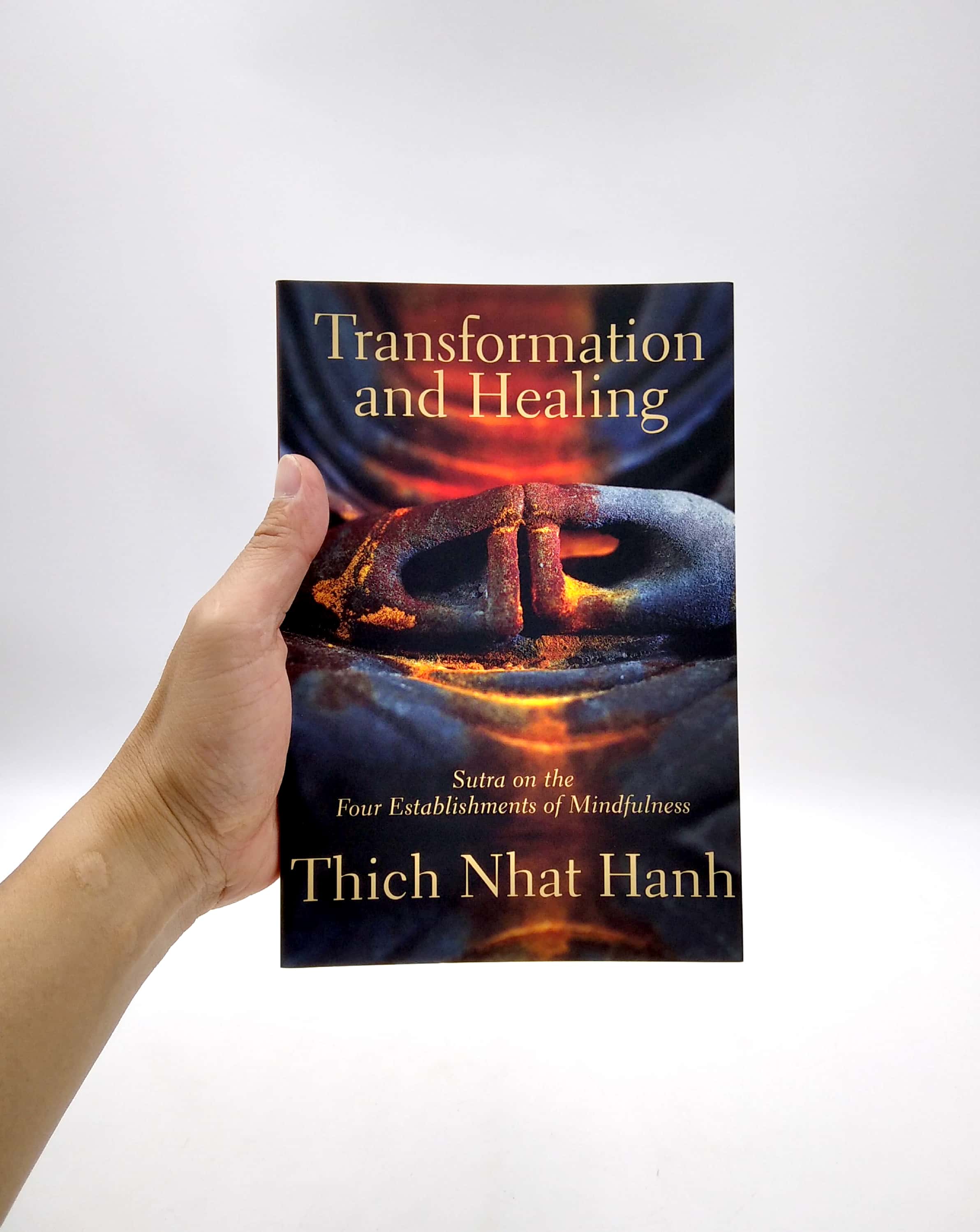 Transformation and Healing : Sutra on the Four Establishments of ...