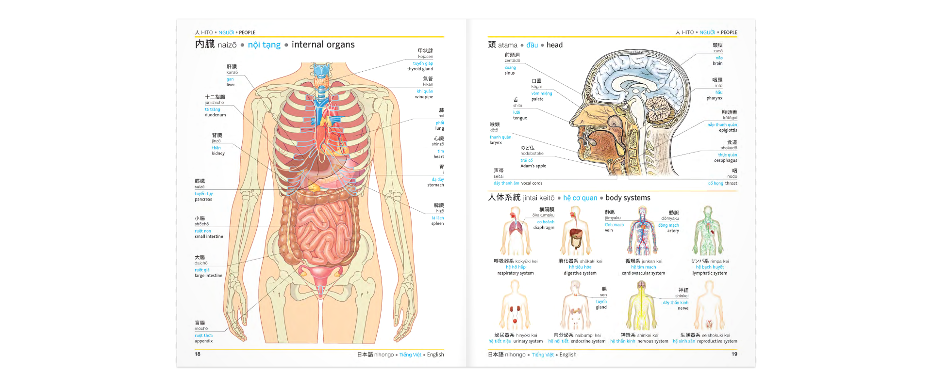Trilingual Visual Dictionary - Japanese-Vietnamese-English PDF - Tờ ...