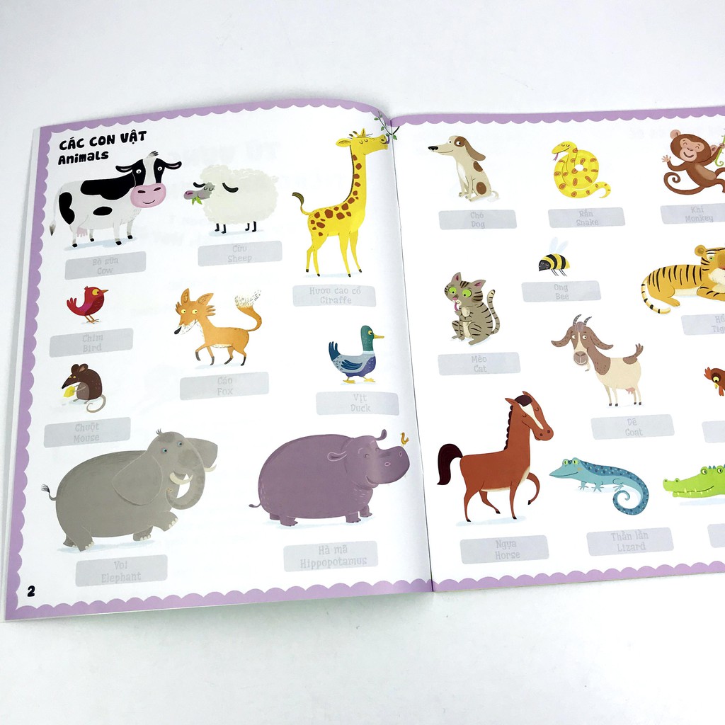 Sách Từ Vựng Tiếng Anh Đơn Giản - Easy English Words (Sticker Book 1 ...