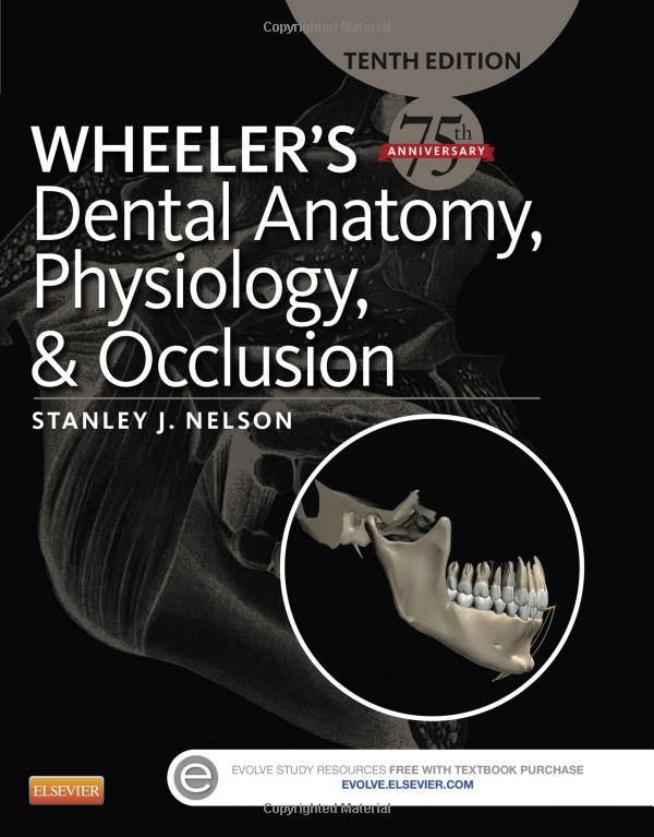 Wheelers Dental Anatomy