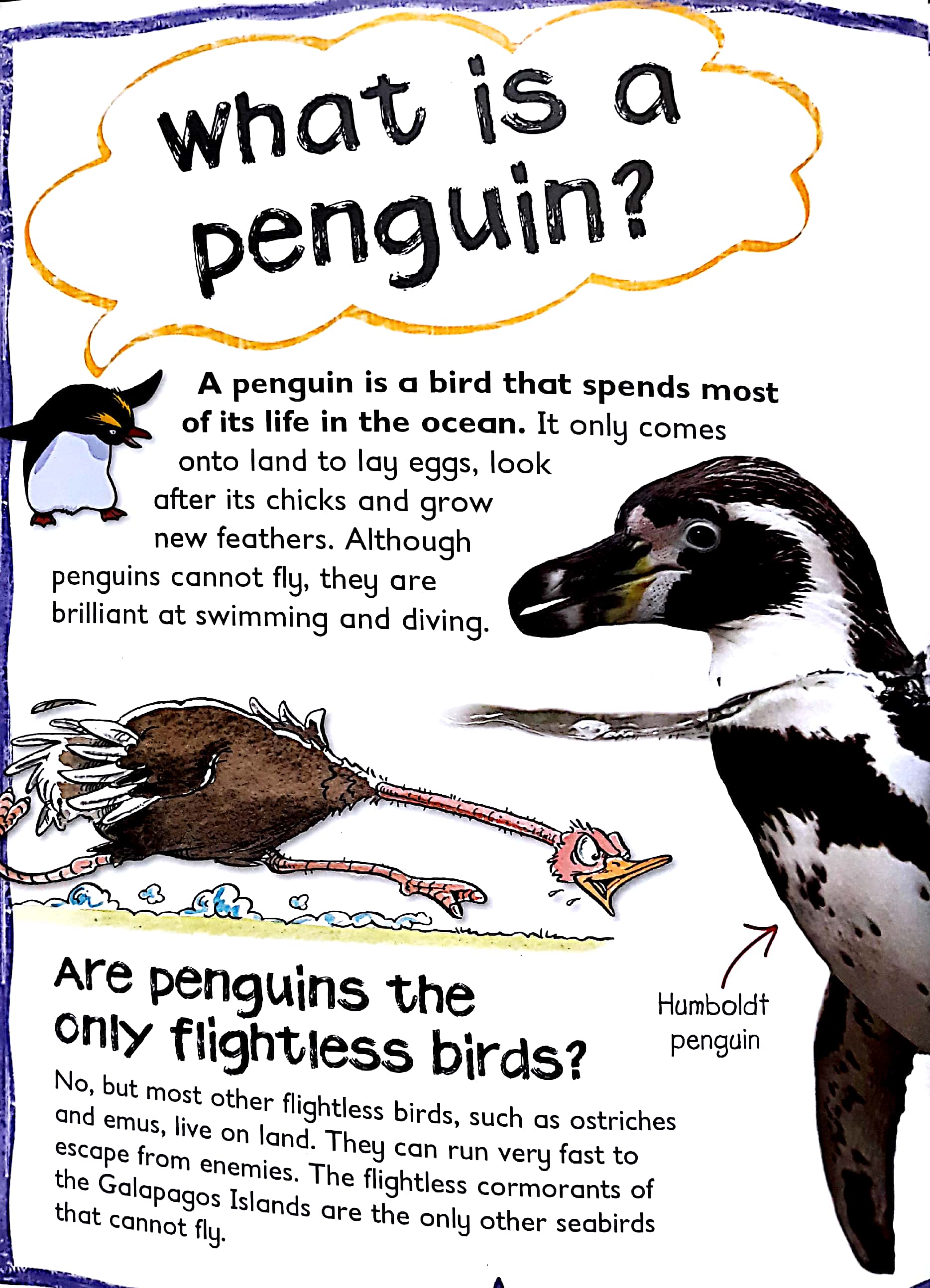 Why Can't Penguins Fly?: First Questions and Answers - Penguins