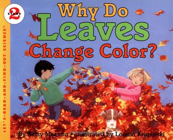 Why Do Leaves Change Color?