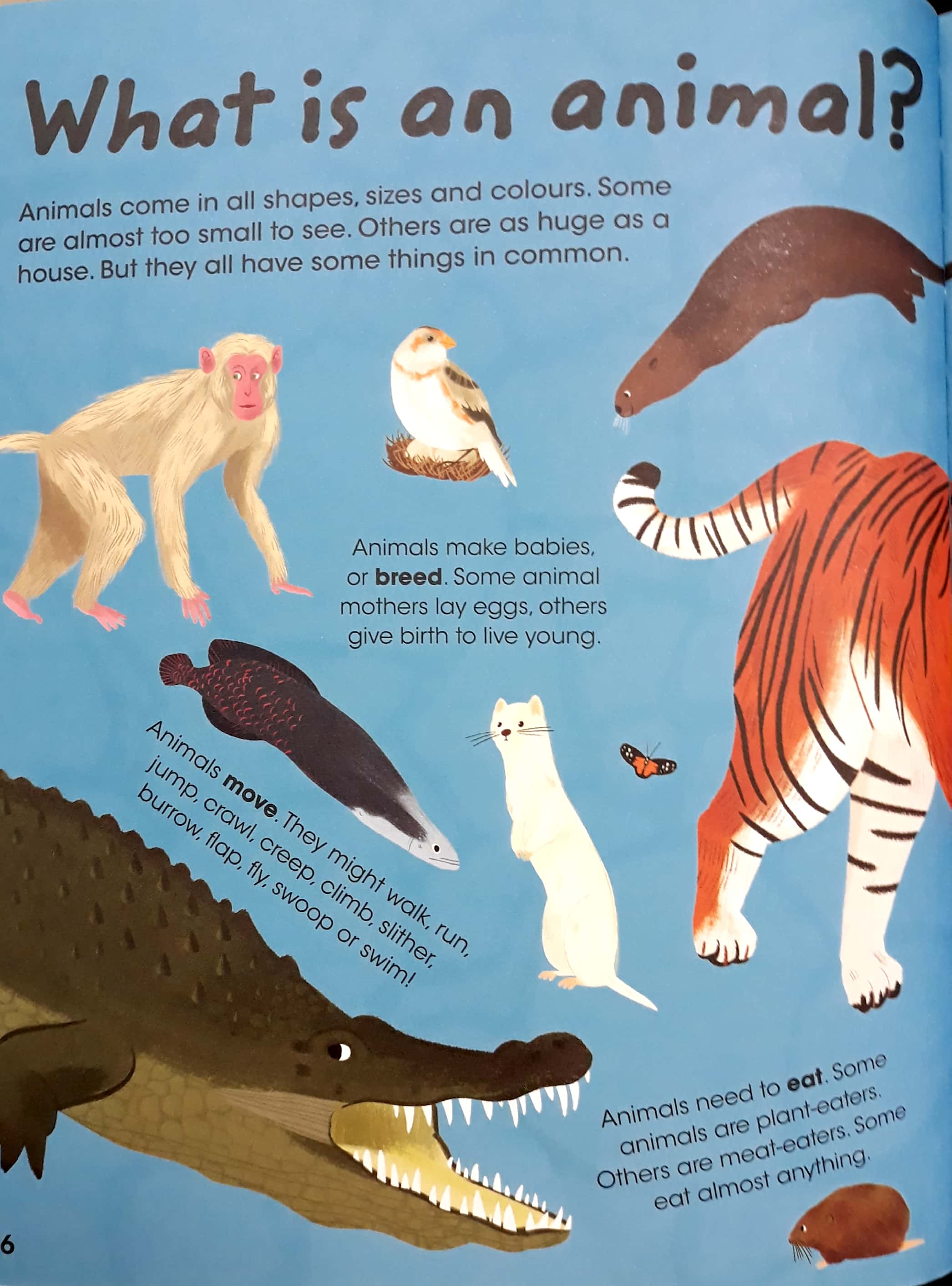 Wild Animals Activity Book - FAHASA.COM