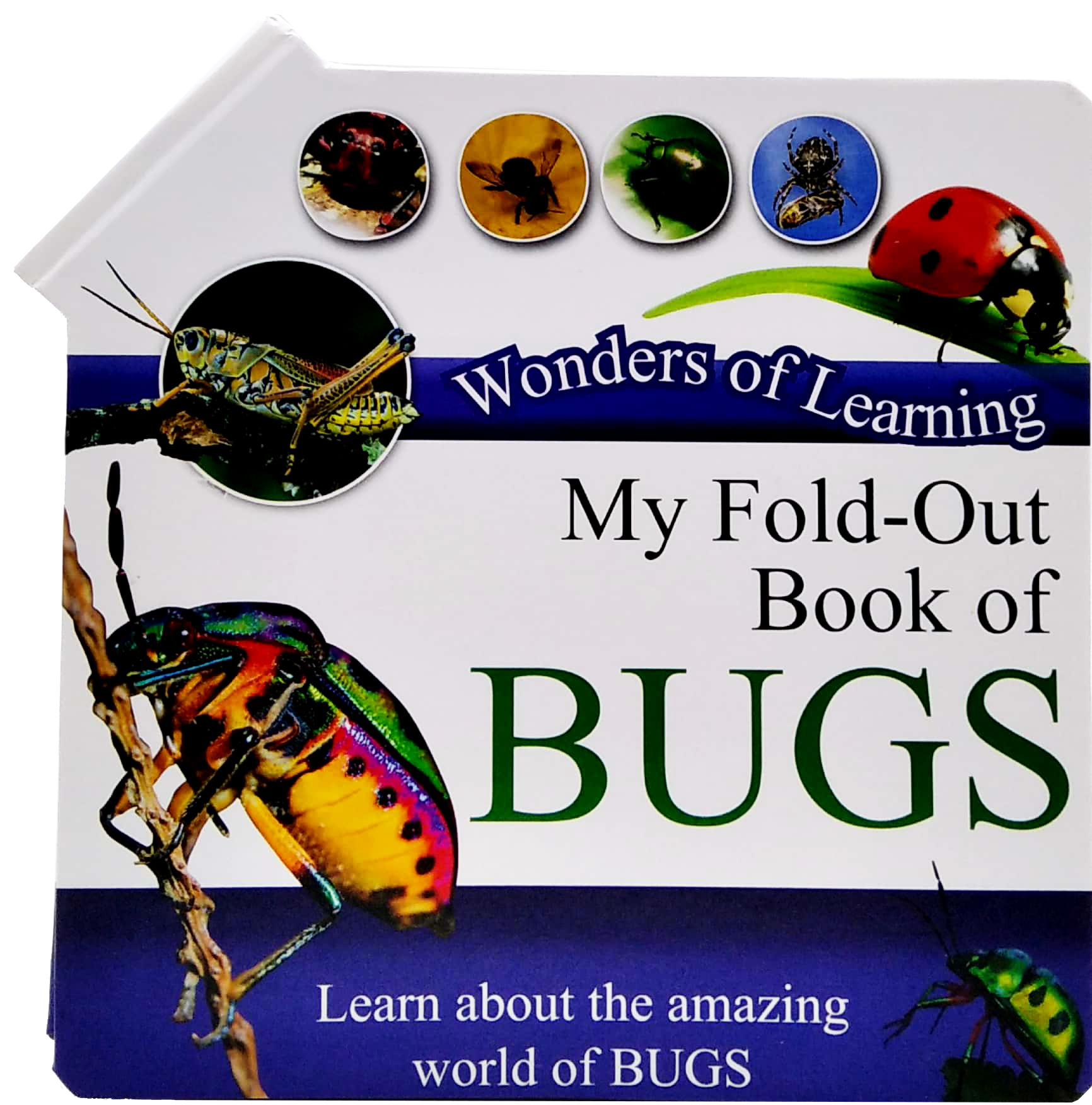 Wonder Of Learning - My Fold-Out Book Of Bugs - FAHASA.COM