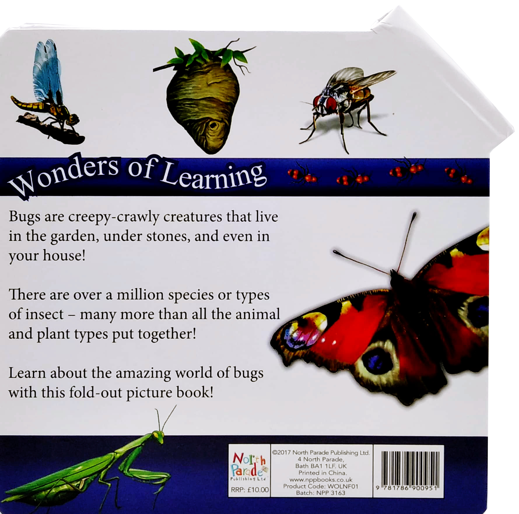 Wonder Of Learning - My Fold-Out Book Of Bugs - FAHASA.COM