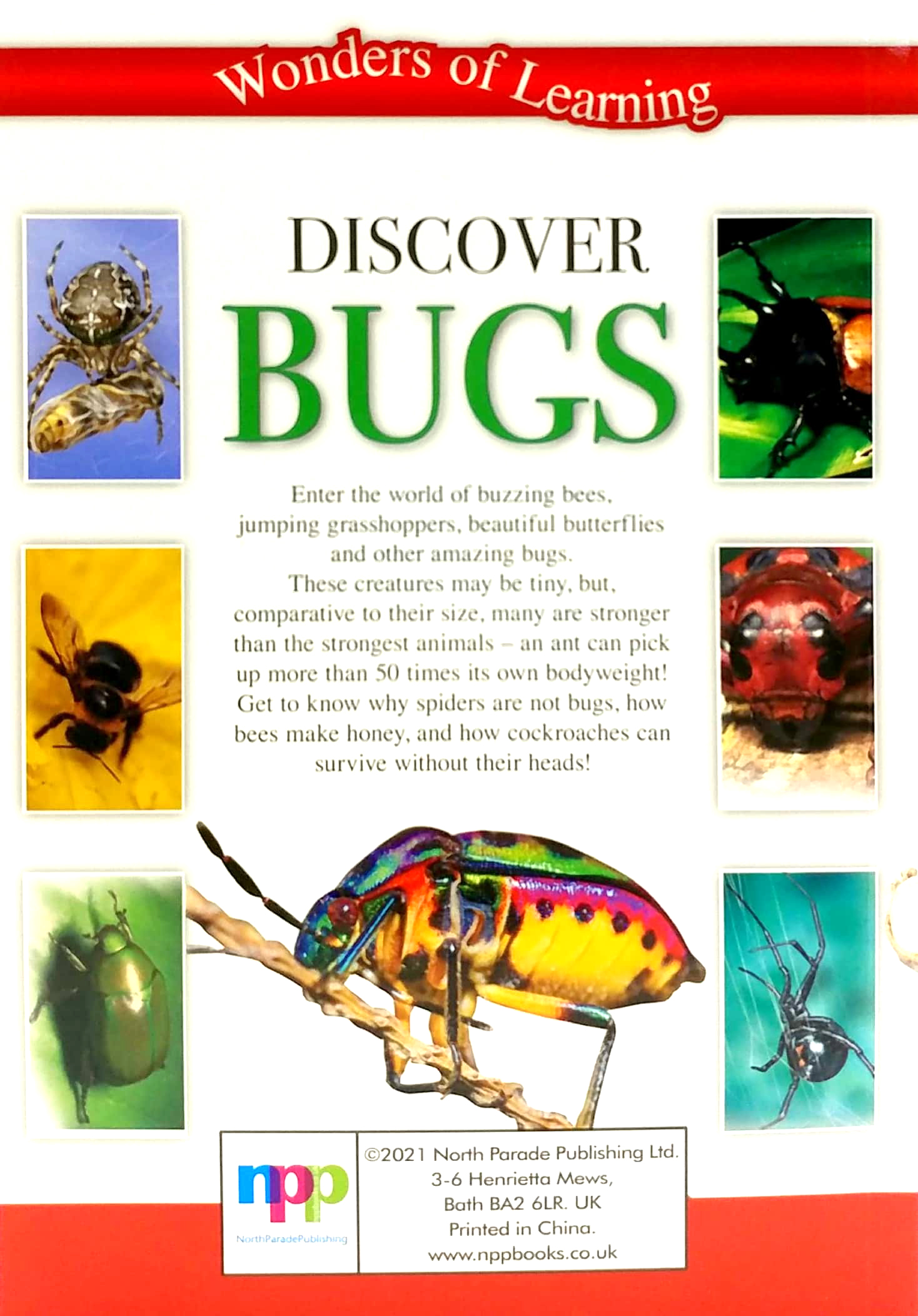Wonders Of Learning: Discover Bugs Educational Tin Set - FAHASA.COM