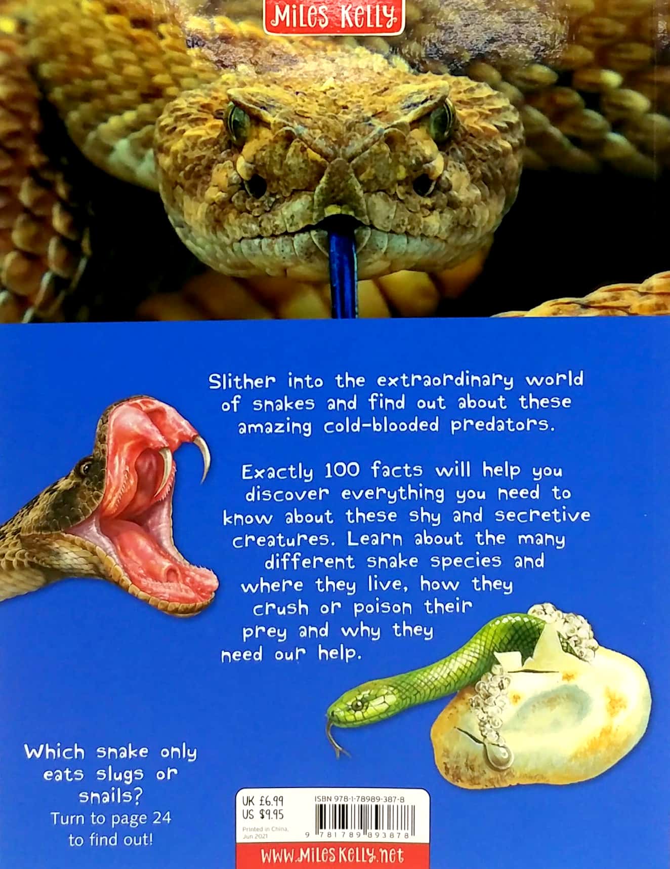 100 Facts Snakes