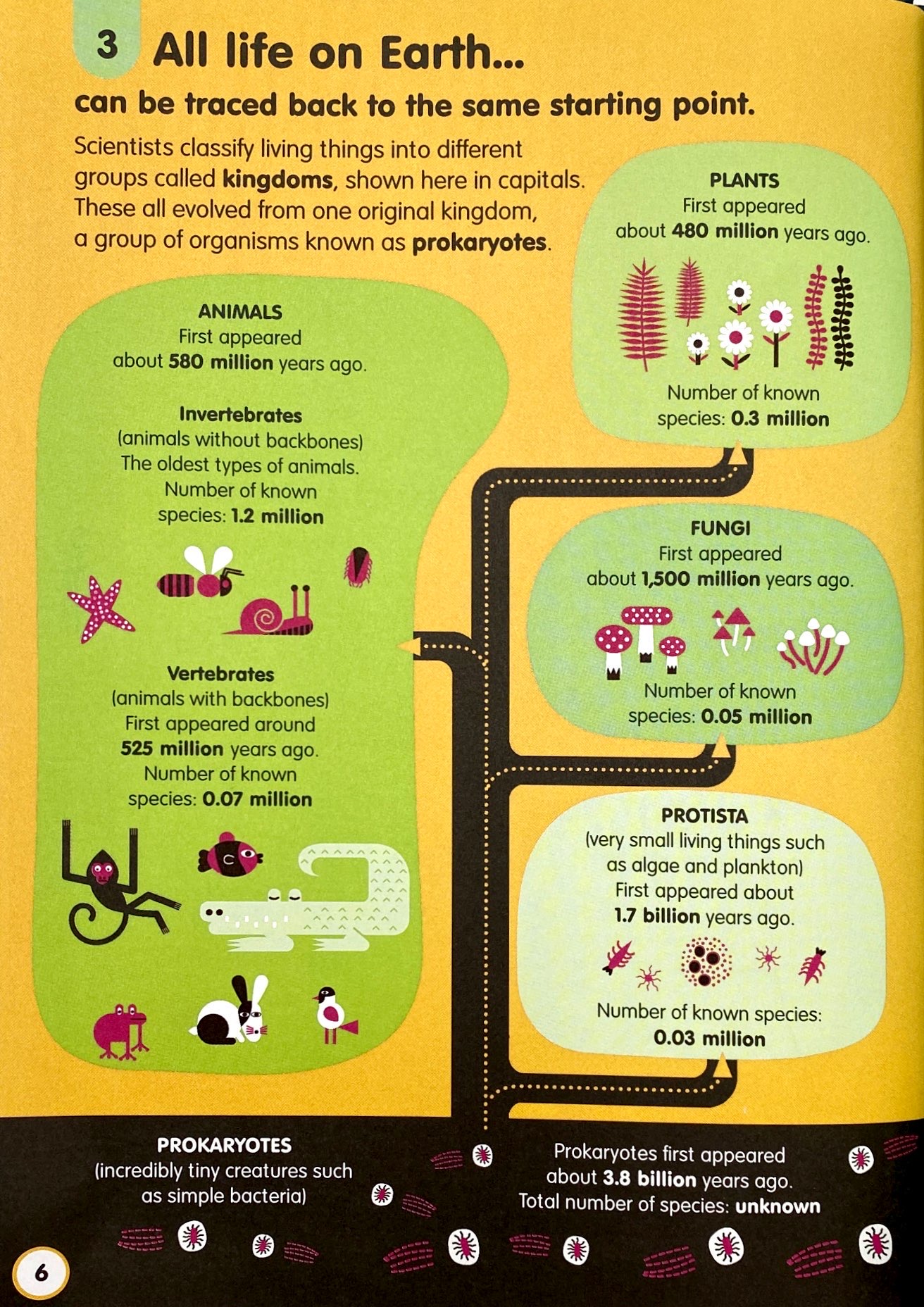 100 Things To Know About Science - FAHASA.COM