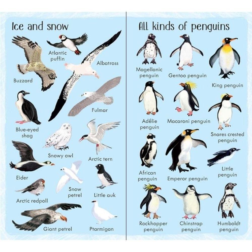 199 Birds - FAHASA.COM