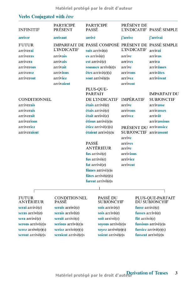 501 French Verbs (Barron's 501 Verbs)