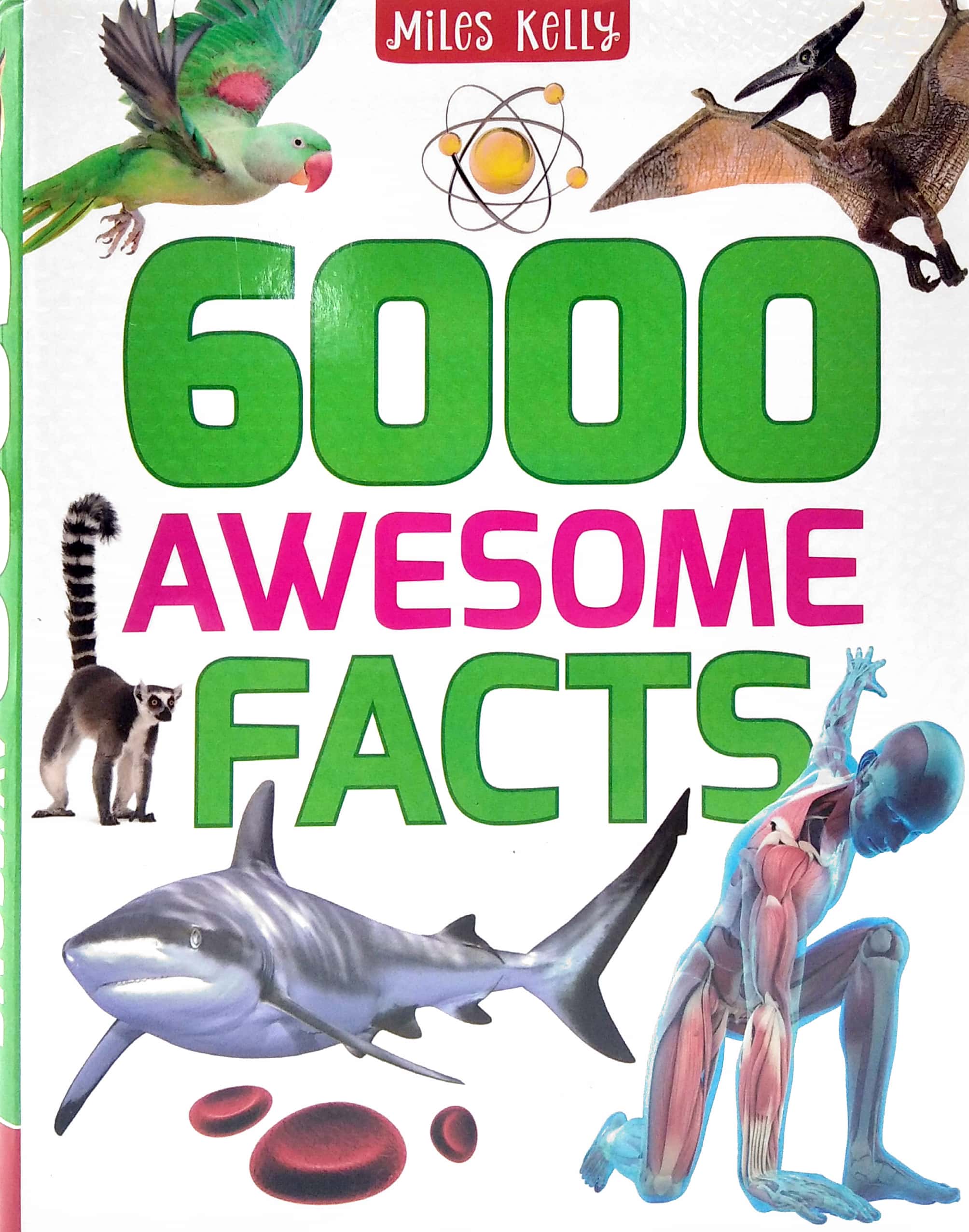 6000 Awesome Facts