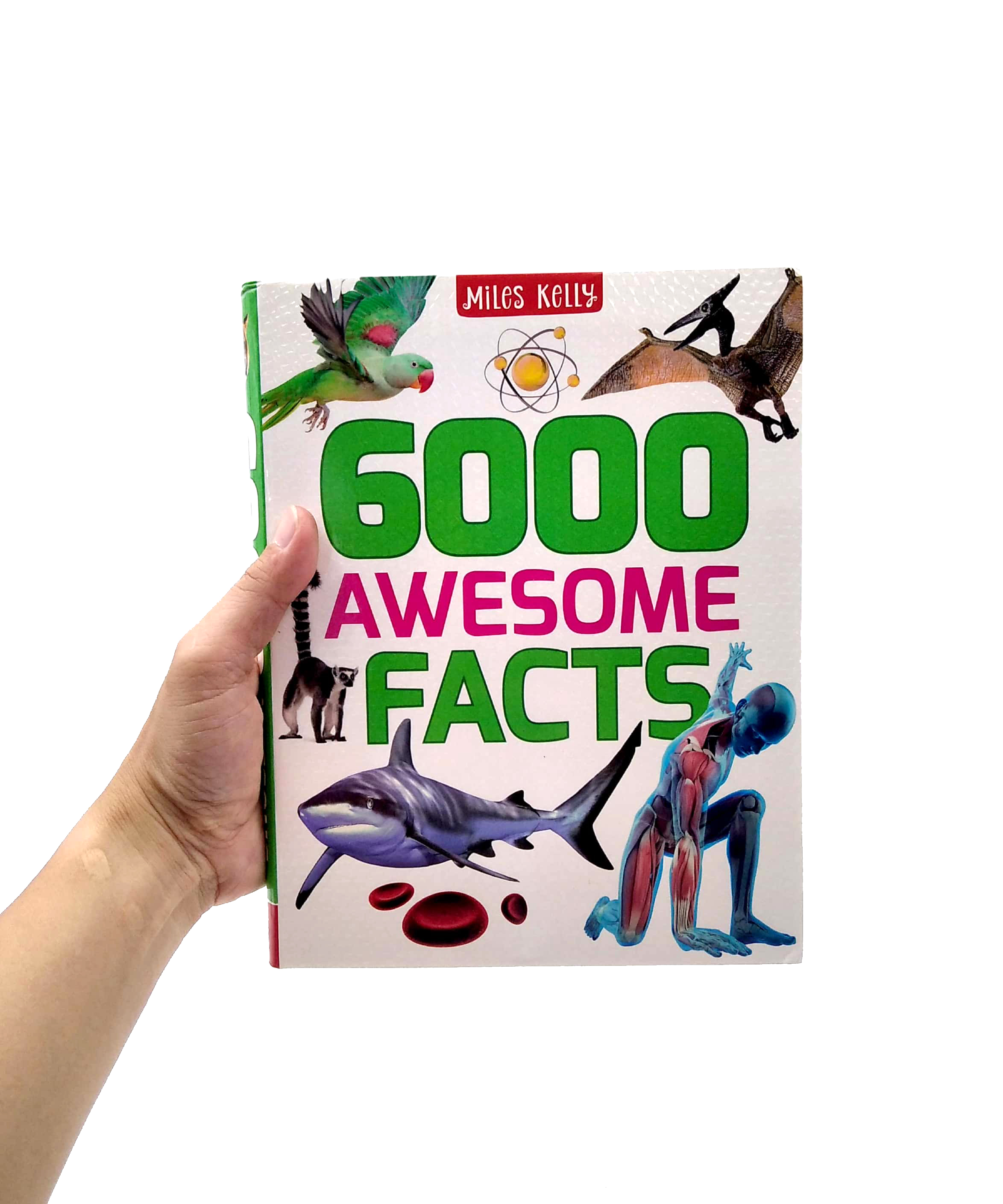 6000 Awesome Facts
