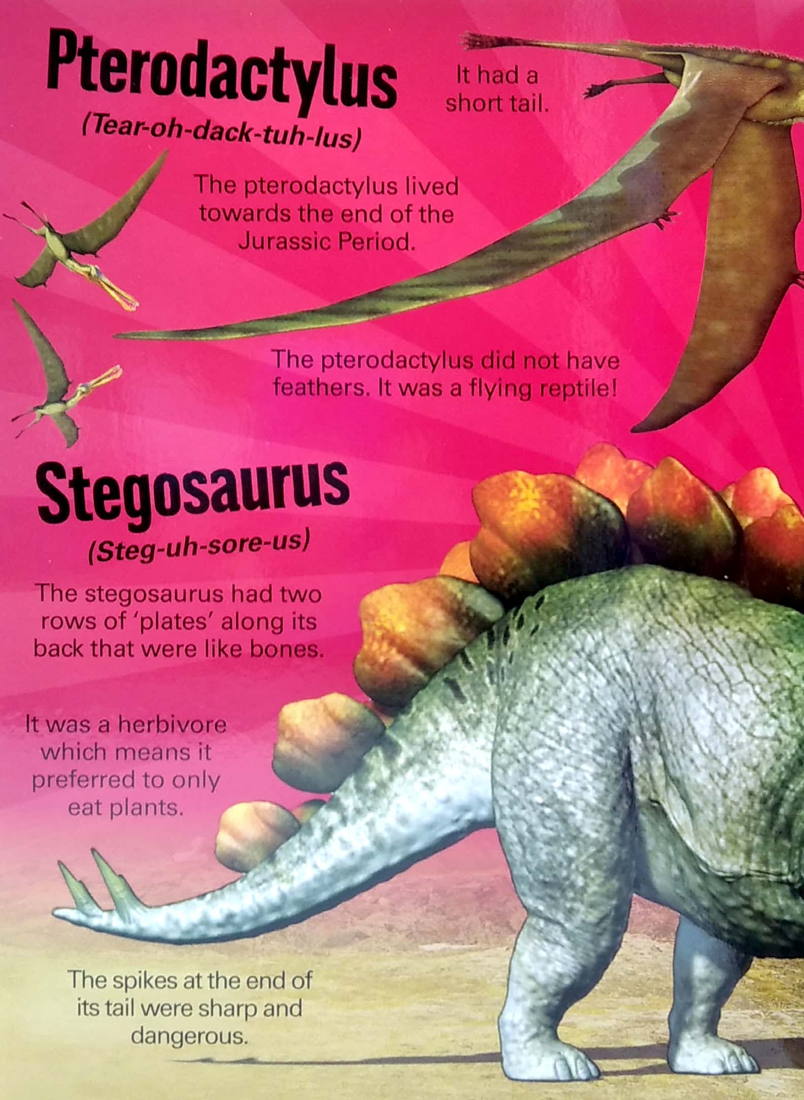 A Mega Sound Book: Roar! 10-Button Sound Book - FAHASA.COM