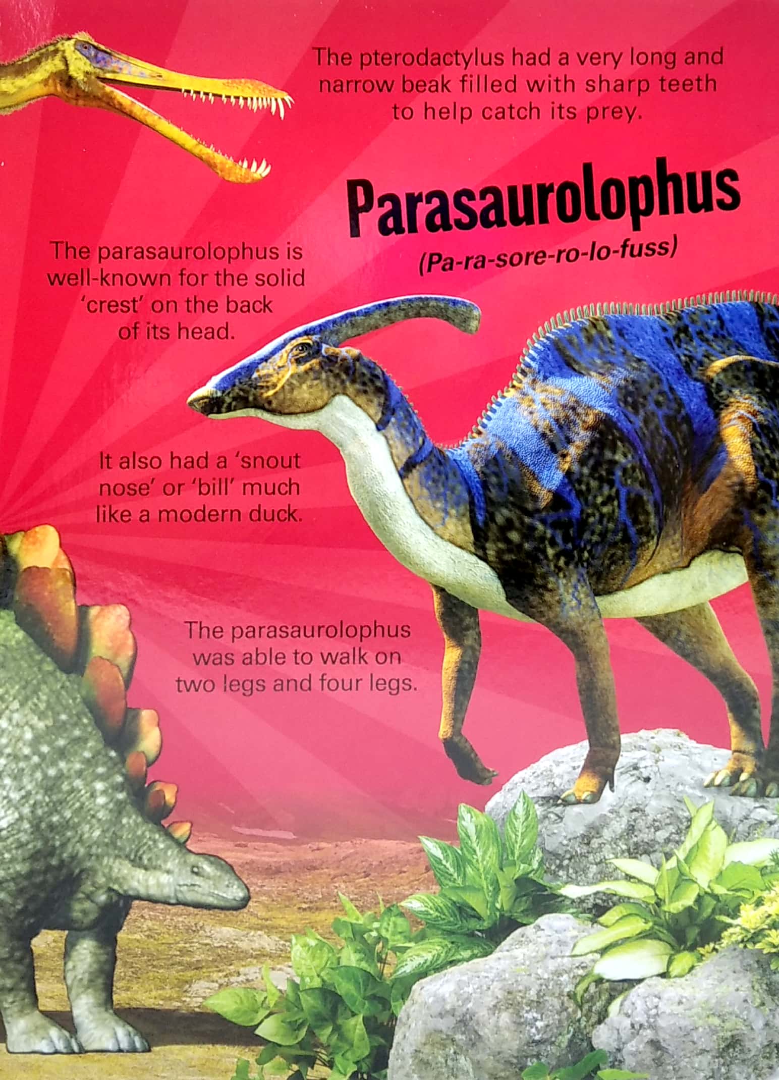 A Mega Sound Book: Roar! 10-Button Sound Book - FAHASA.COM