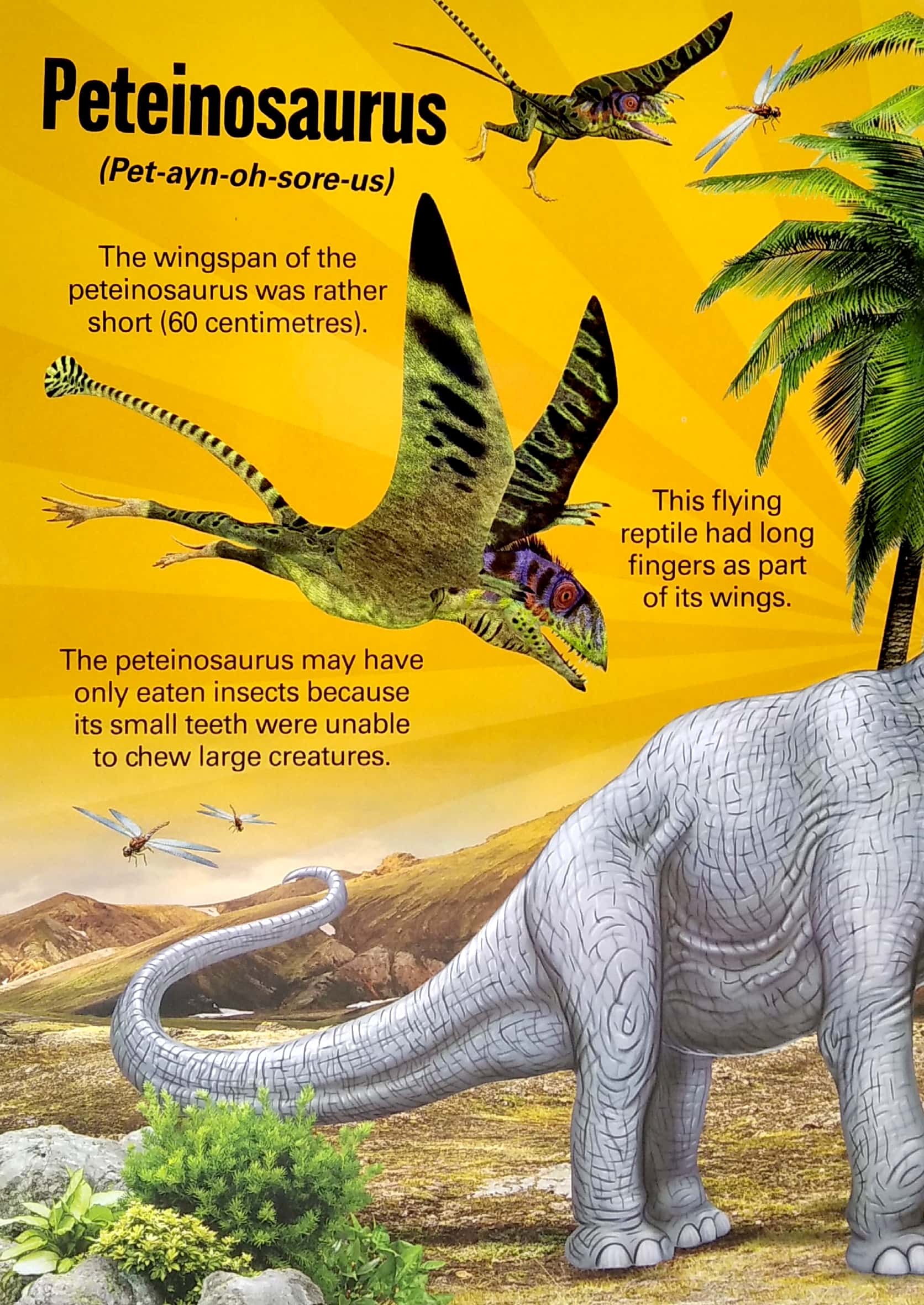 A Mega Sound Book: Roar! 10-Button Sound Book - FAHASA.COM