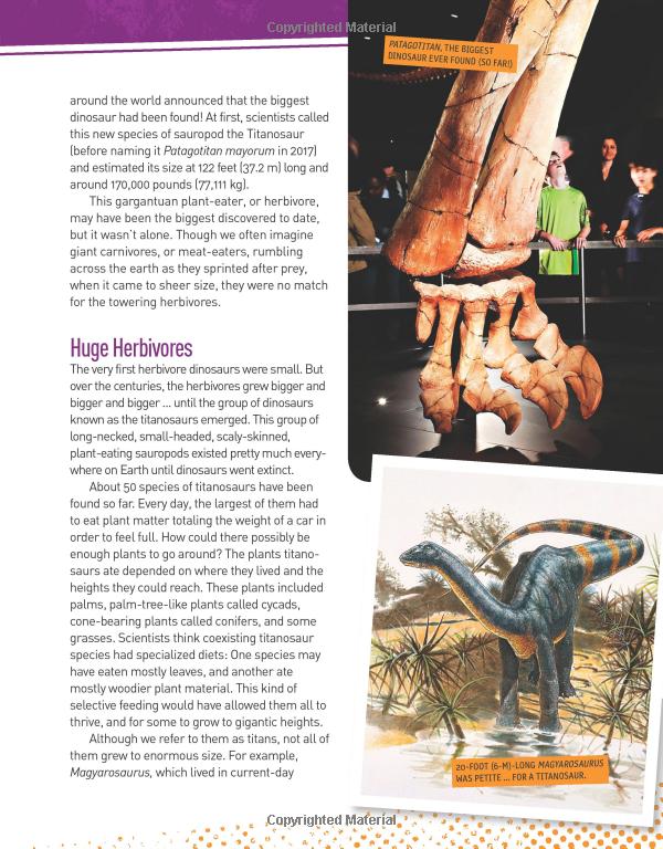 Absolute Expert: Dinosaurs