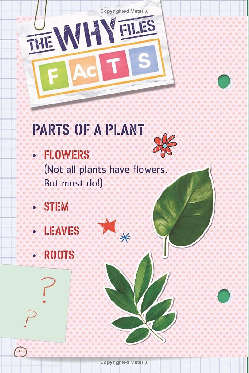 Ada Twist, Scientist: The Why Files #2: All About Plants! - FAHASA.COM